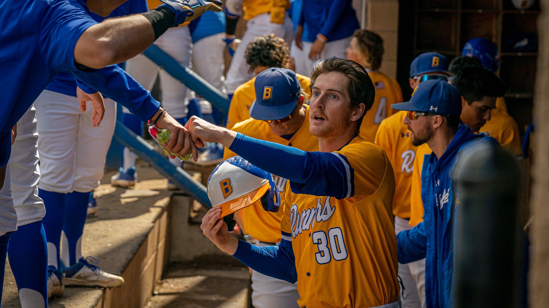 Nic Anderson-Vine - Baseball - California State University at ...