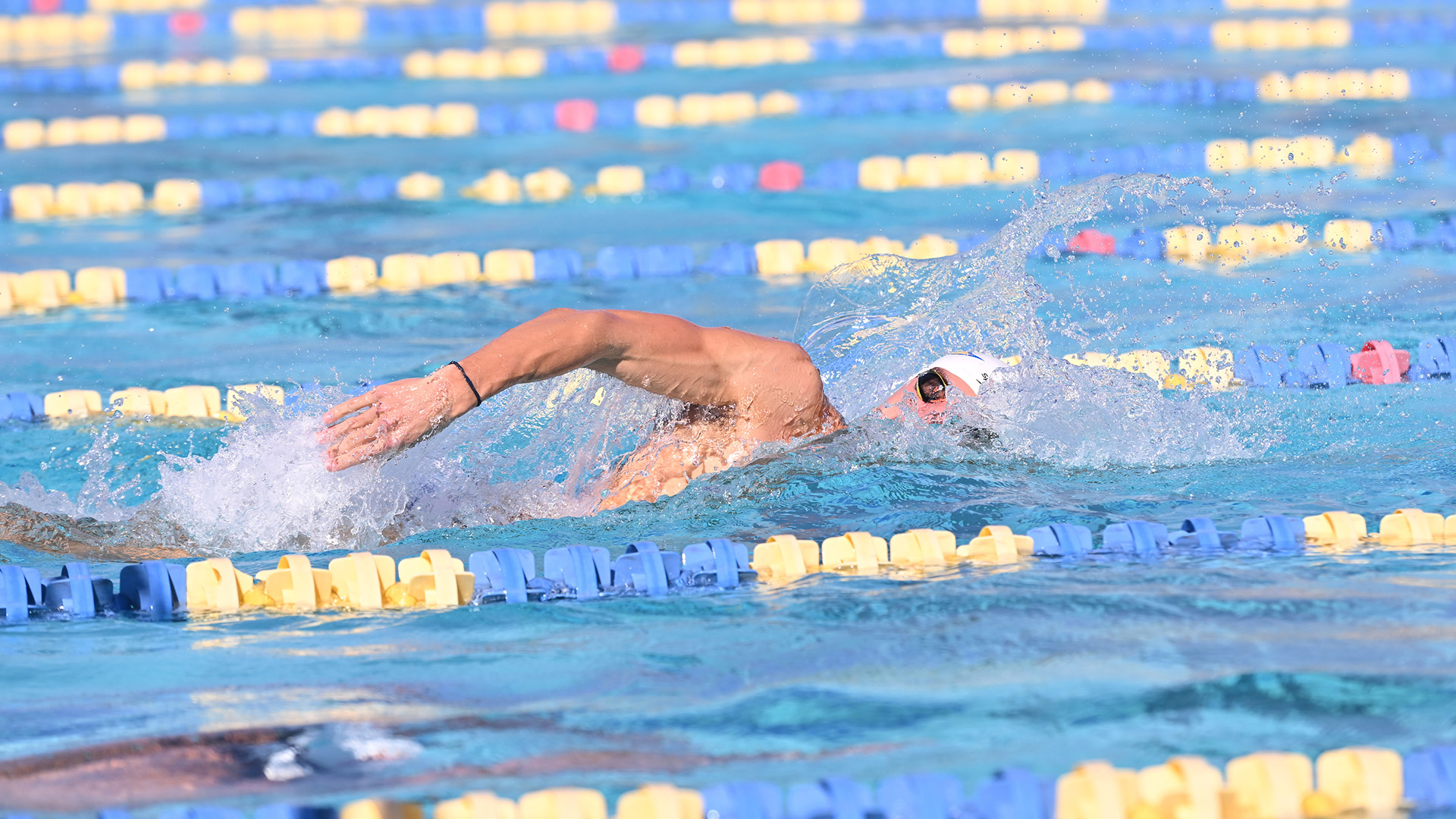 CSUB Athlete of the Week: Vili Sivec - California State University at ...