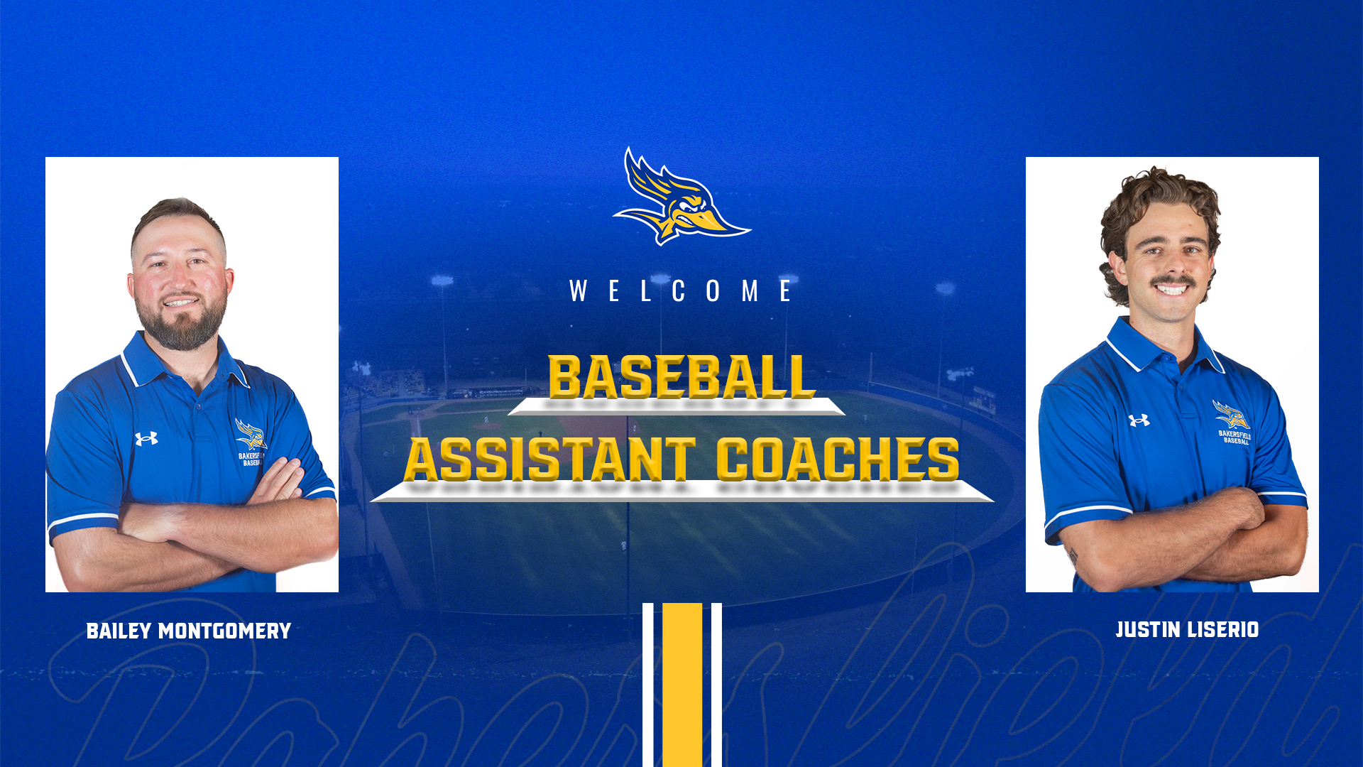 CSUB Announces Leadership Change for Roadrunner Baseball - California ...