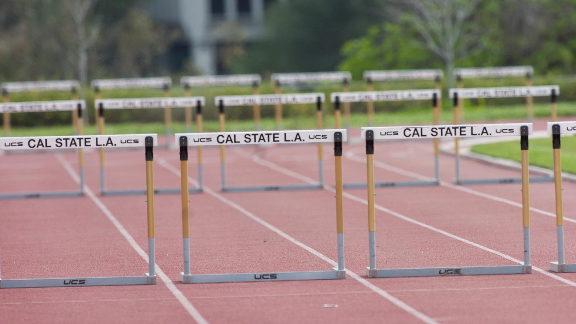 Twilight Open Gets Underway At Cerritos College - Cal State LA Athletics