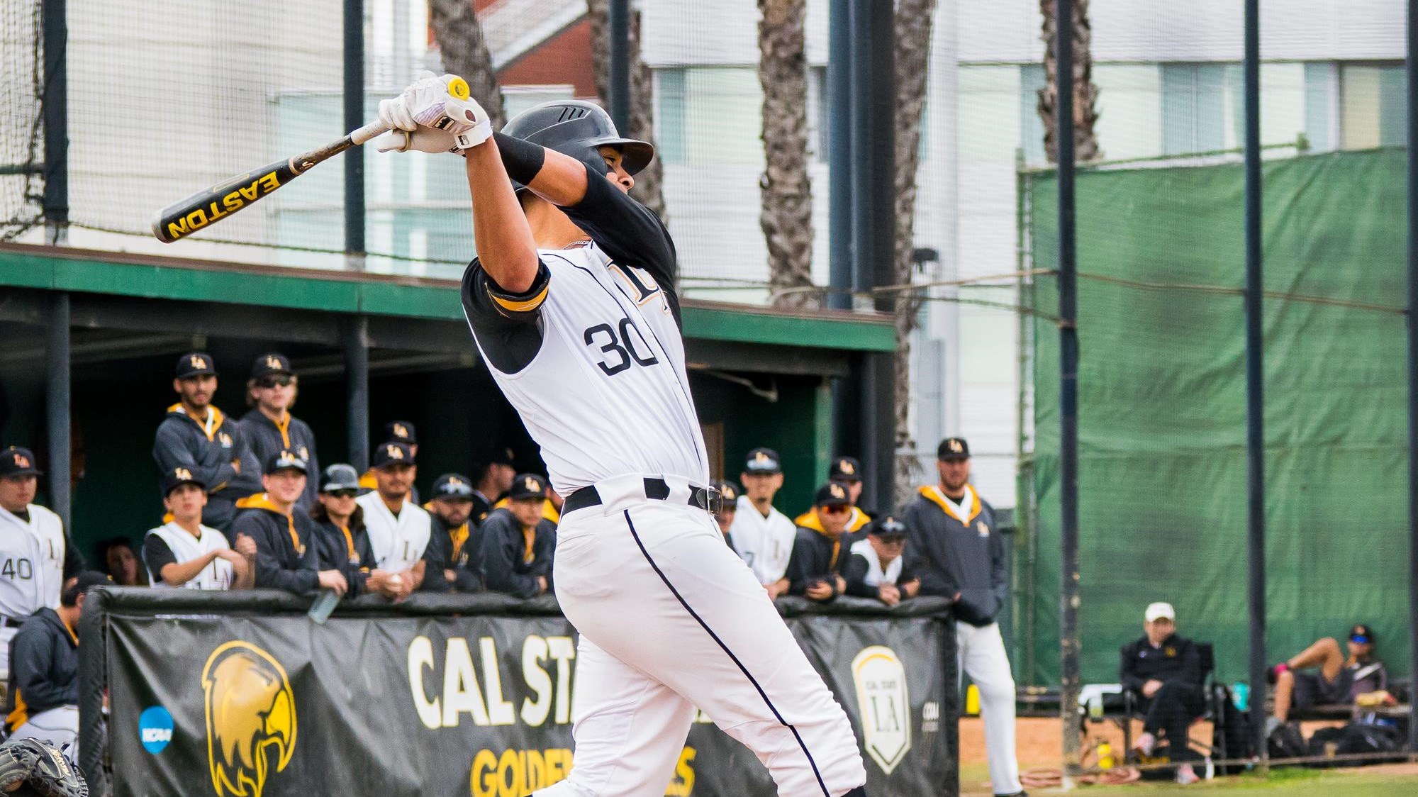 Golden Eagles Drop Both Ends Of CCAA Doubleheader - Cal State LA Athletics