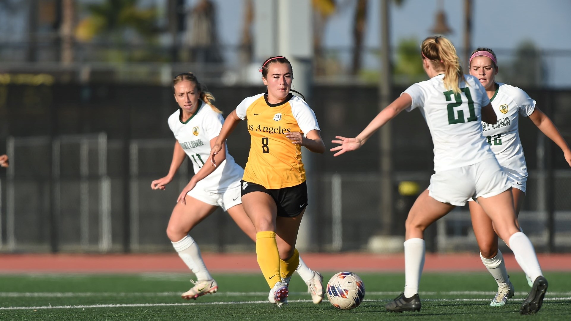 Golden Eagles Fall Short Against No. 7 Sea Lions - Cal State LA Athletics