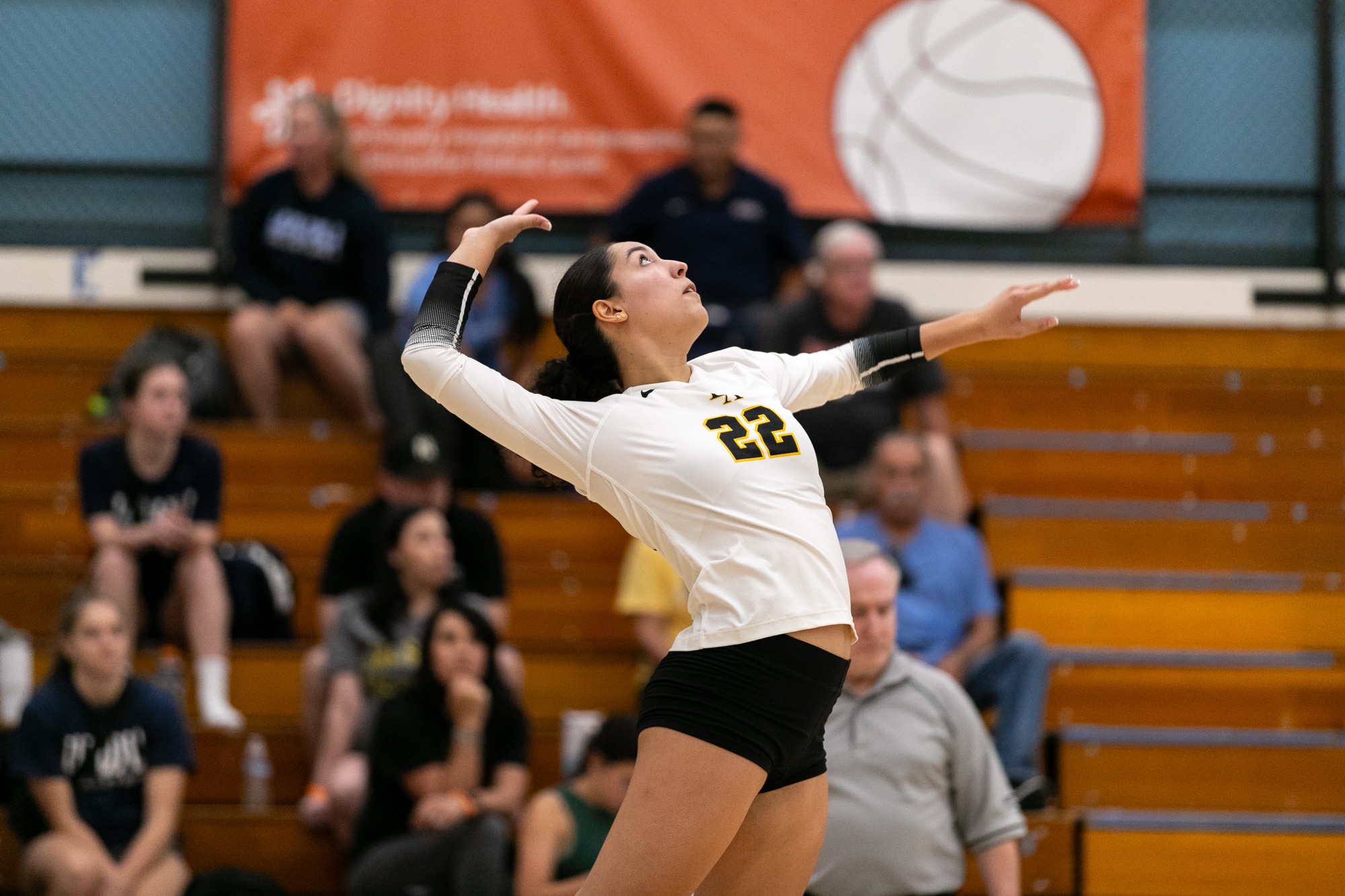 No. 9 Golden Eagles Fall To GNAC Favorites In Four - Cal State LA Athletics
