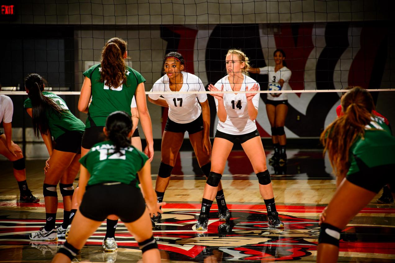 Cieana Stinson - 2015 - Women's Volleyball - CSUN Athletics