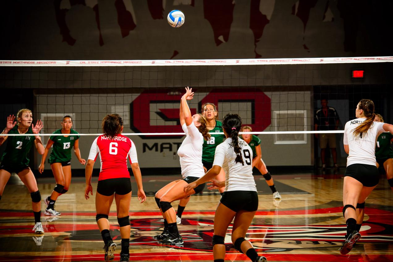 Sydney Gedryn - 2013 - Women's Volleyball - CSUN Athletics