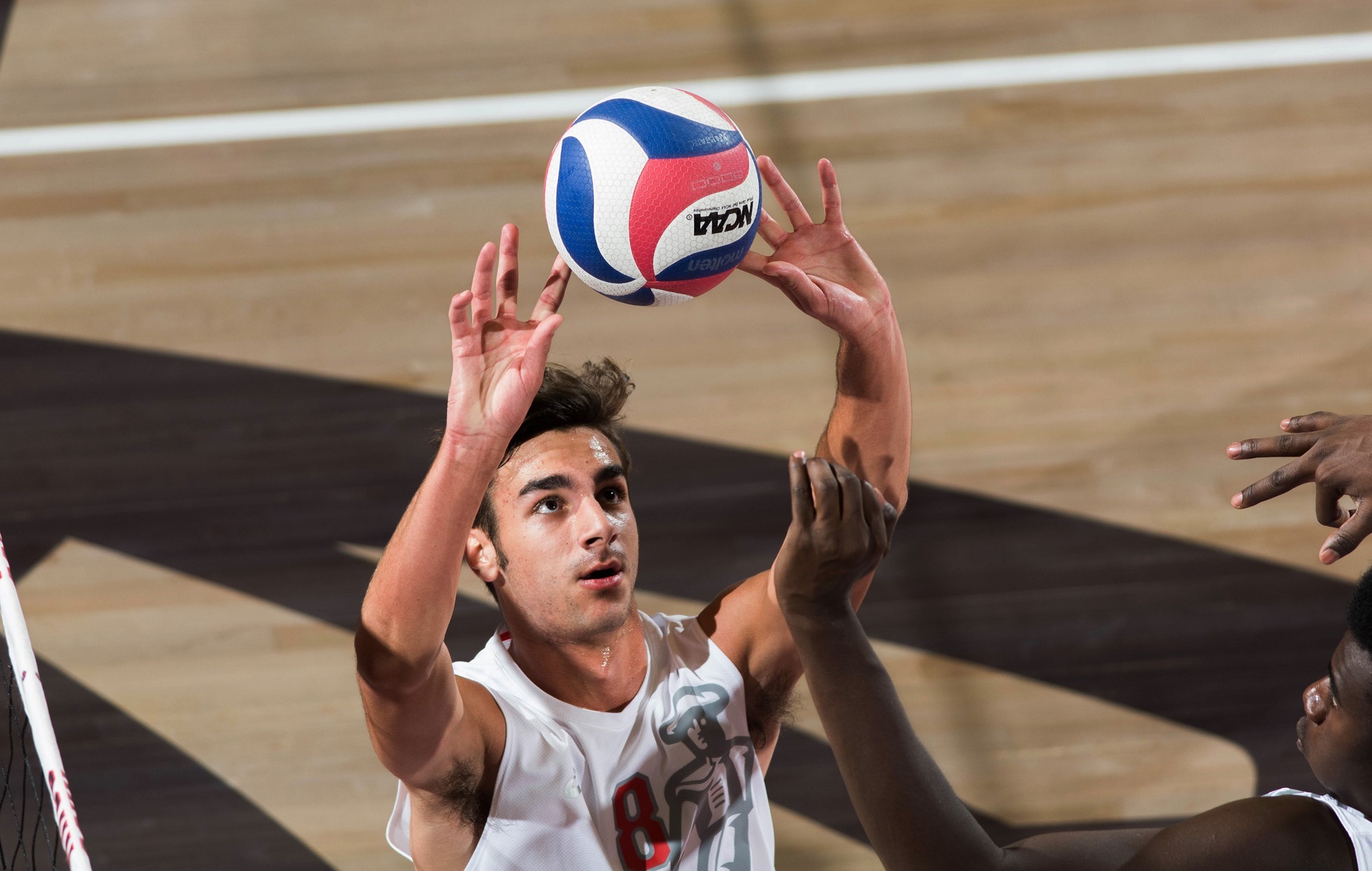 Sam Porter - 2019 - Men's Volleyball - CSUN Athletics