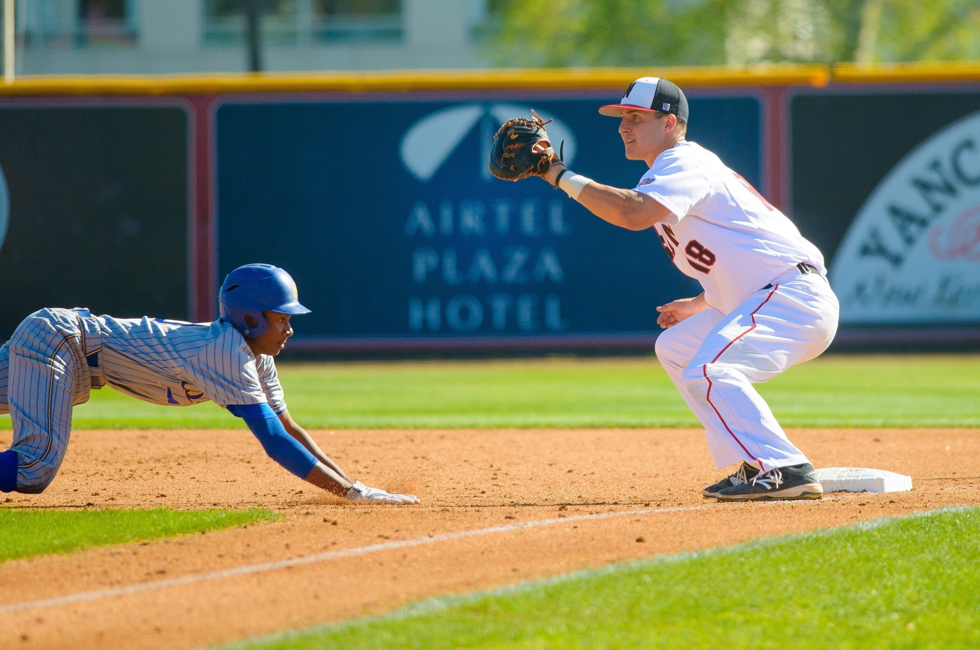Branden Berry - 2016 - Baseball - CSUN Athletics