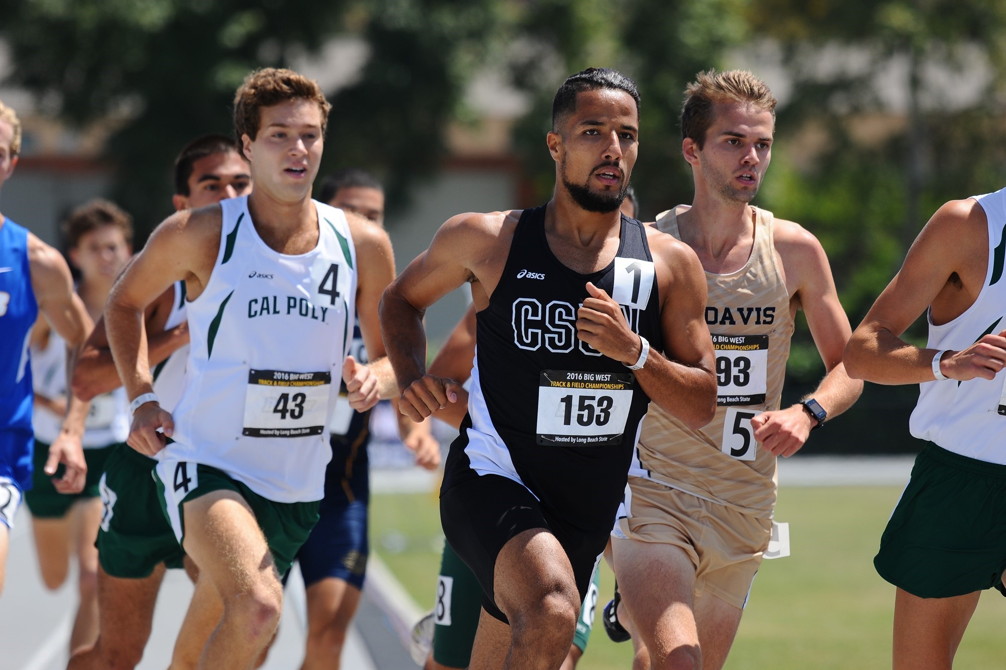 Anass Zouhry - 2016 - Men's Track & Field - CSUN Athletics