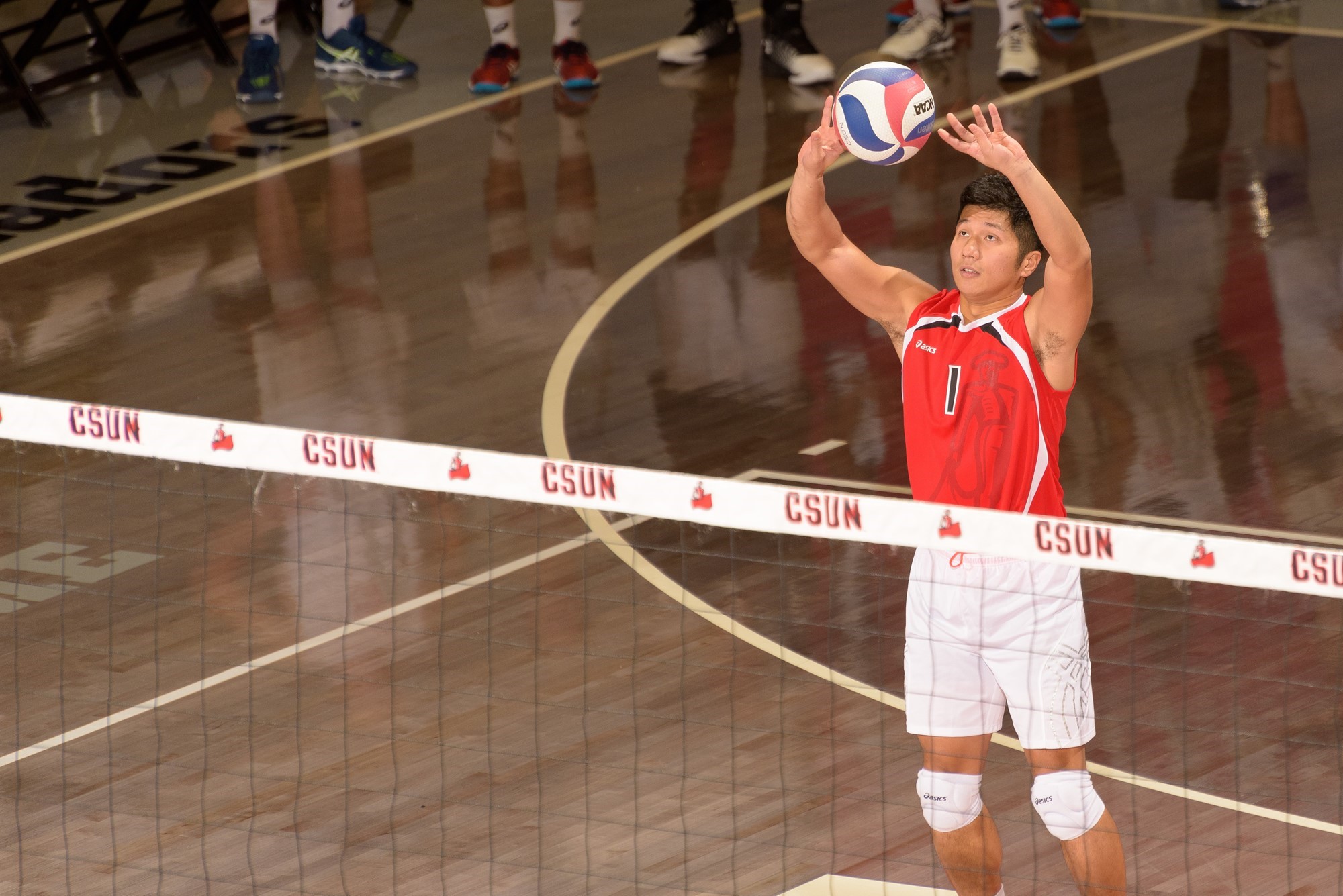 CJ Suarez - 2017 - Men's Volleyball - CSUN Athletics