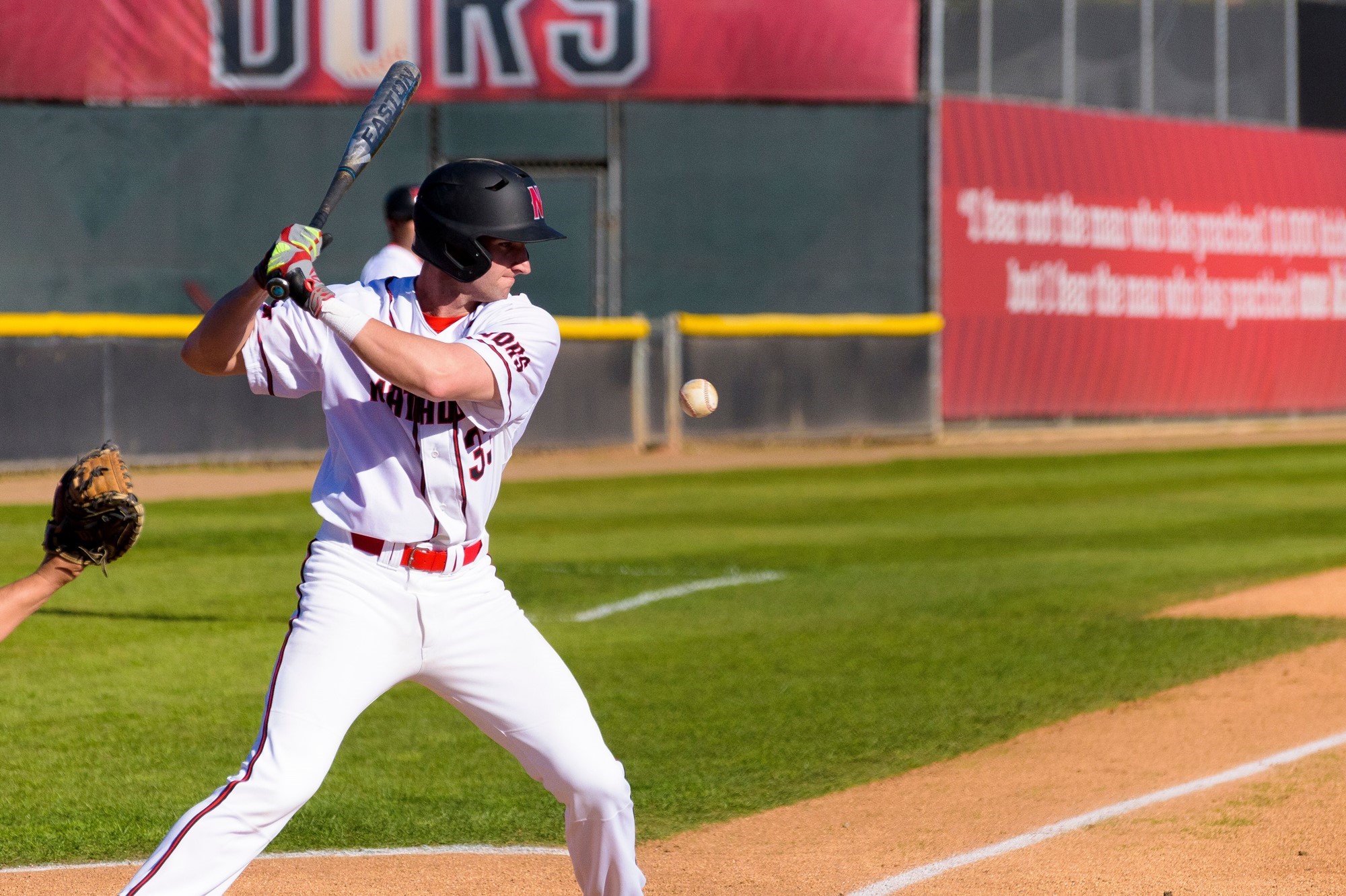 Dylan Alexander - 2017 - Baseball - CSUN Athletics