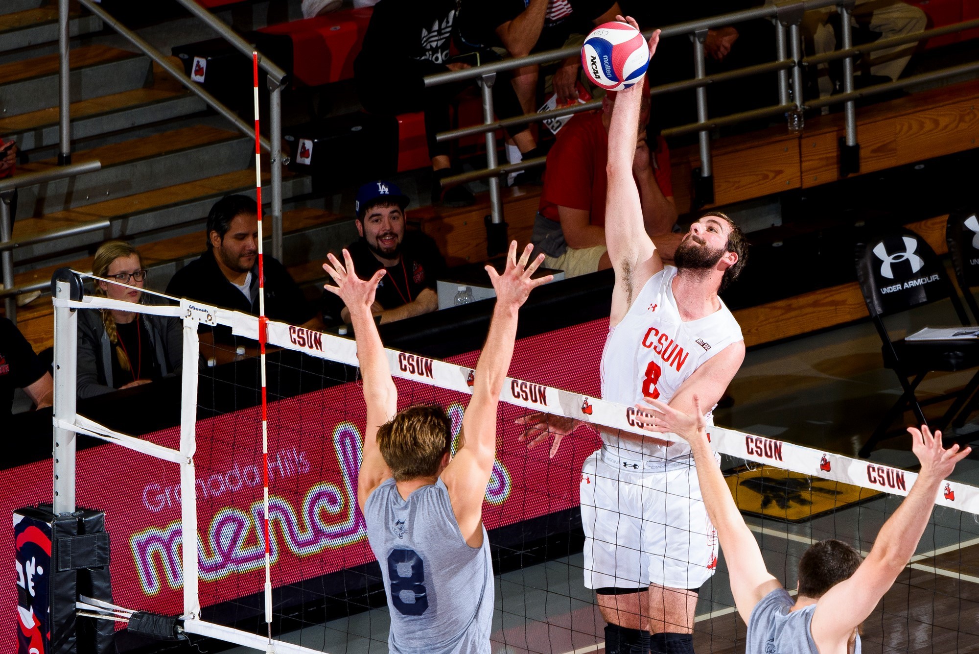 Lucas Timm - 2019 - Men's Volleyball - CSUN Athletics