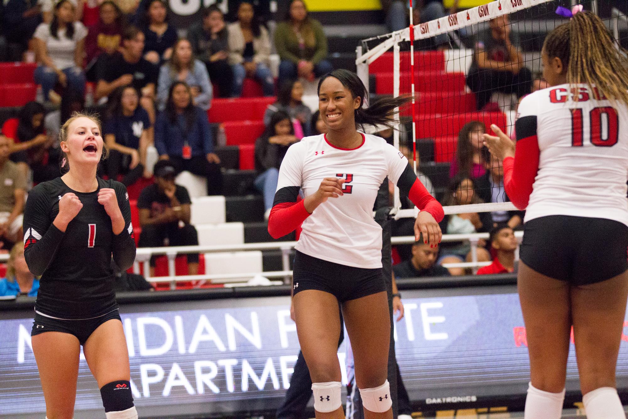 Morgan Salone - 2019 - Women's Volleyball - CSUN Athletics