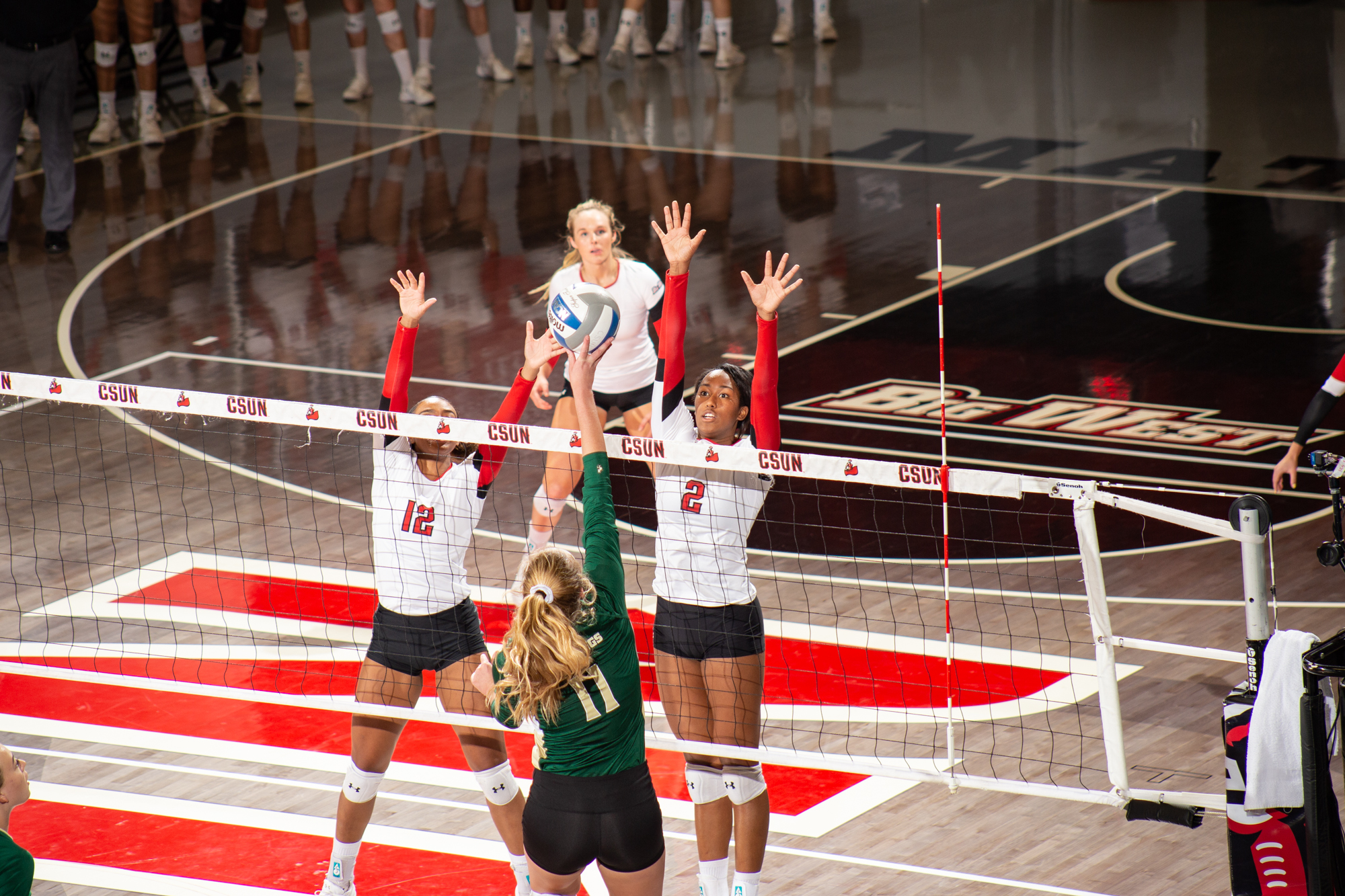Aeryn Owens - 2018 - Women's Volleyball - CSUN Athletics