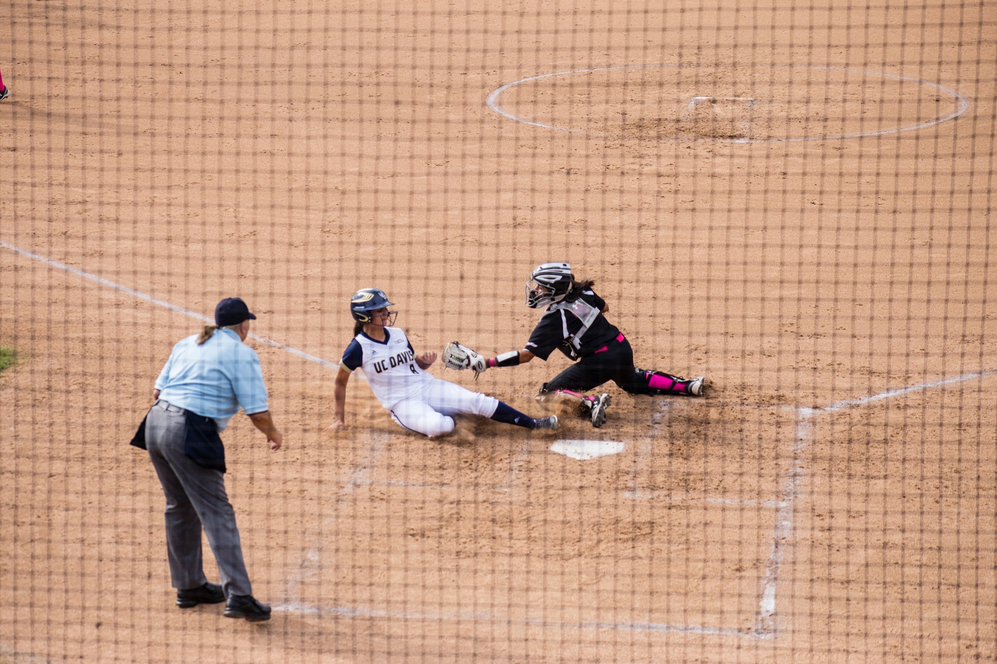 Raquel Jaime - 2019 - Softball - CSUN Athletics