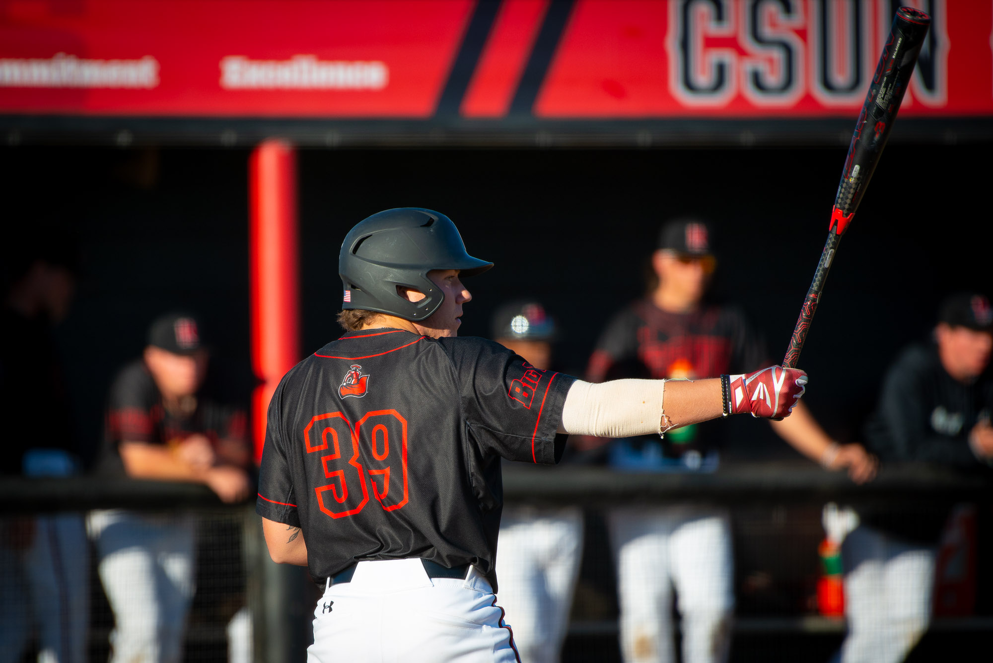 Austin Elder - 2019 - Baseball - CSUN Athletics