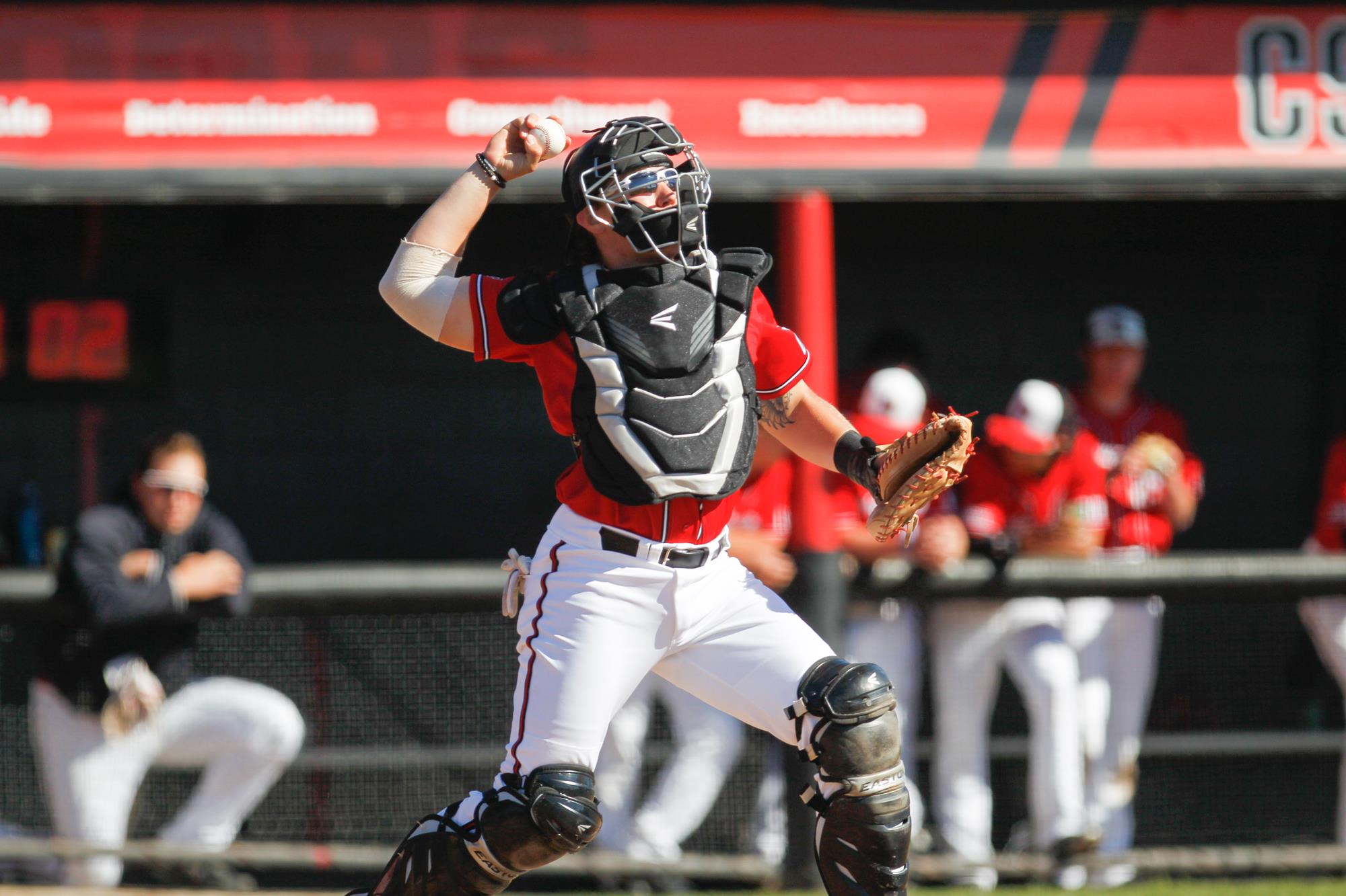 Austin Elder - 2019 - Baseball - CSUN Athletics