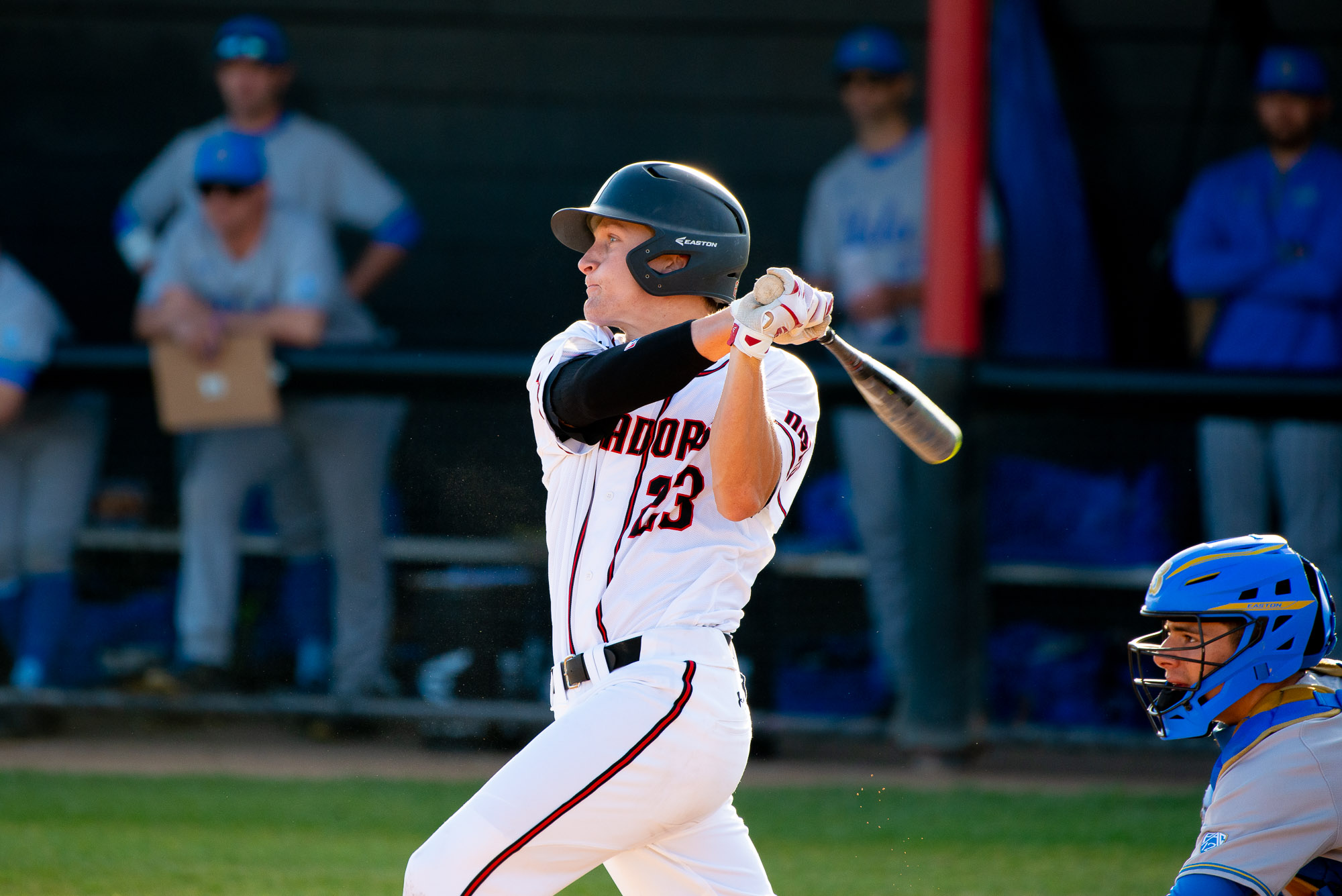 Andrew Lucas - 2020 - Baseball - CSUN Athletics