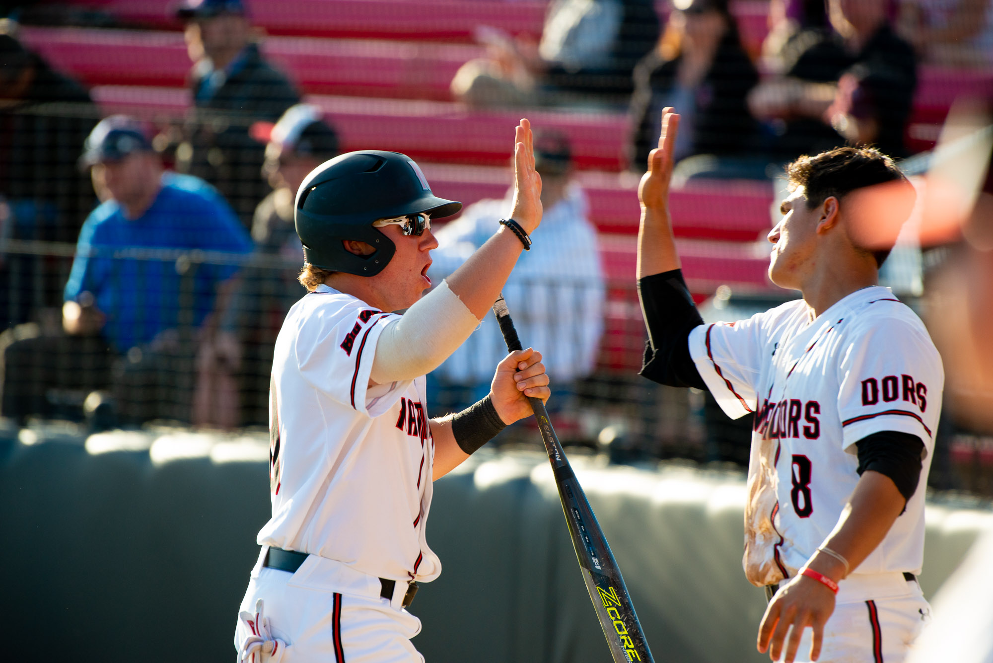 Austin Elder - 2019 - Baseball - CSUN Athletics