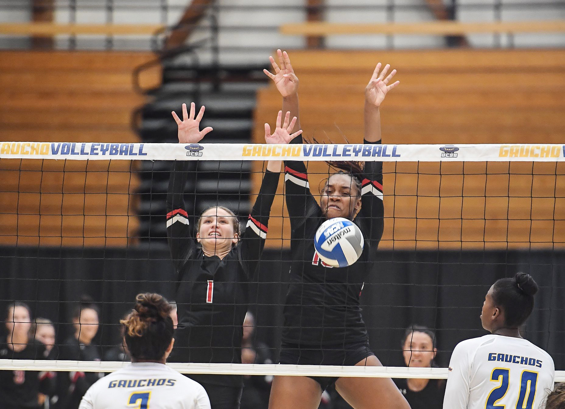 Morgan Salone - 2019 - Women's Volleyball - CSUN Athletics