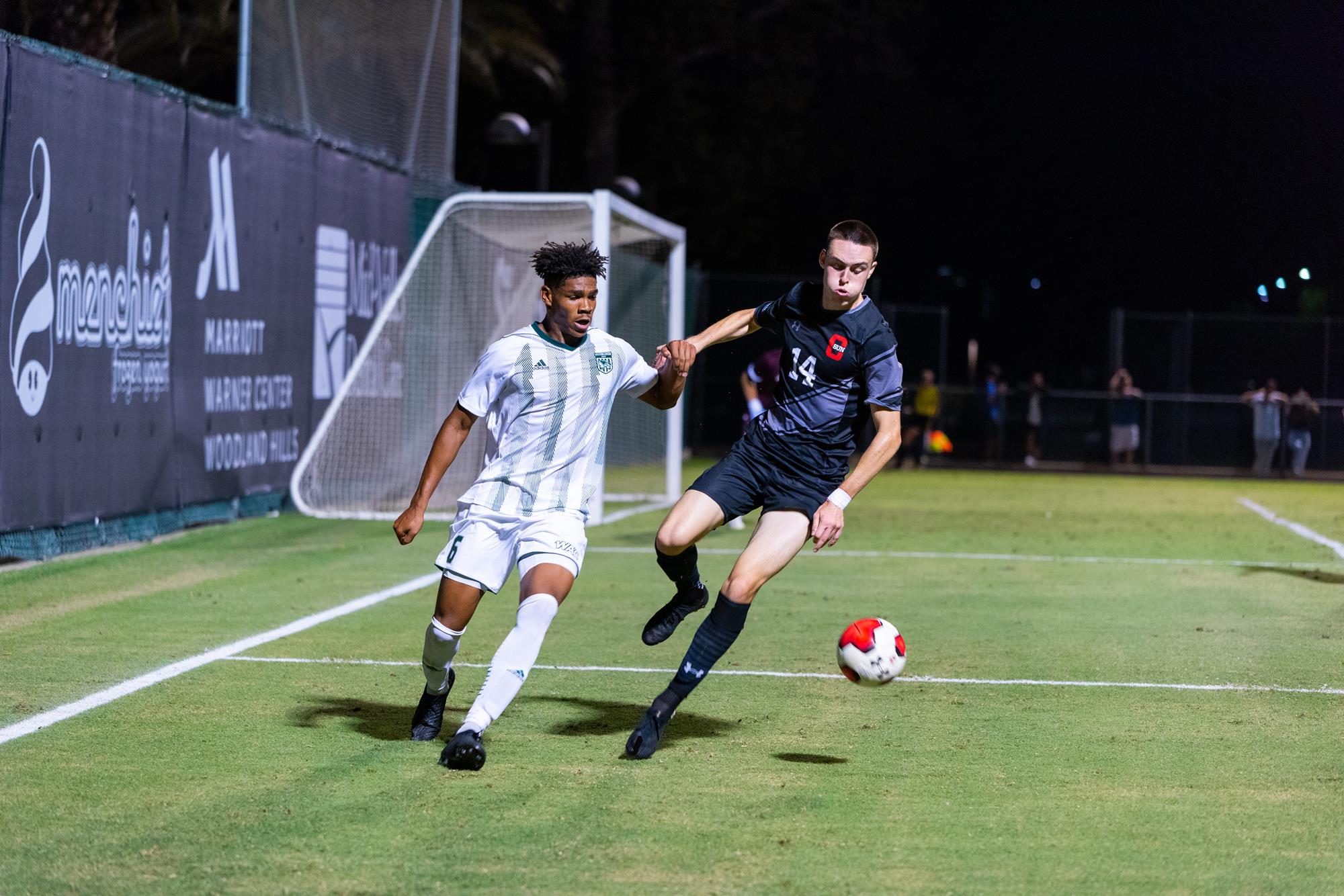 Samuel Salter - 2019 - Men's Soccer - CSUN Athletics