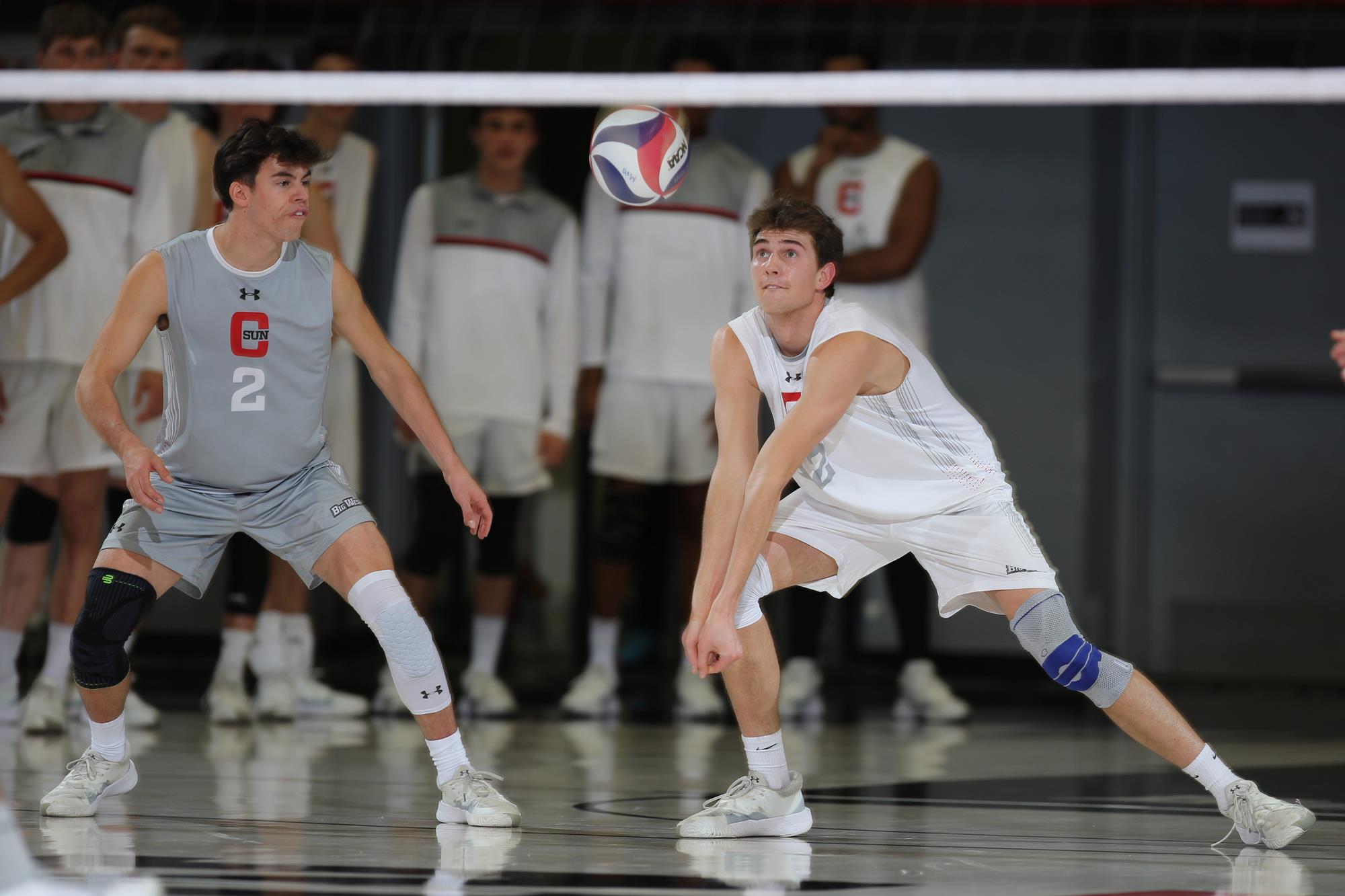 Griffin Walters - 2024 - Men's Volleyball - CSUN Athletics