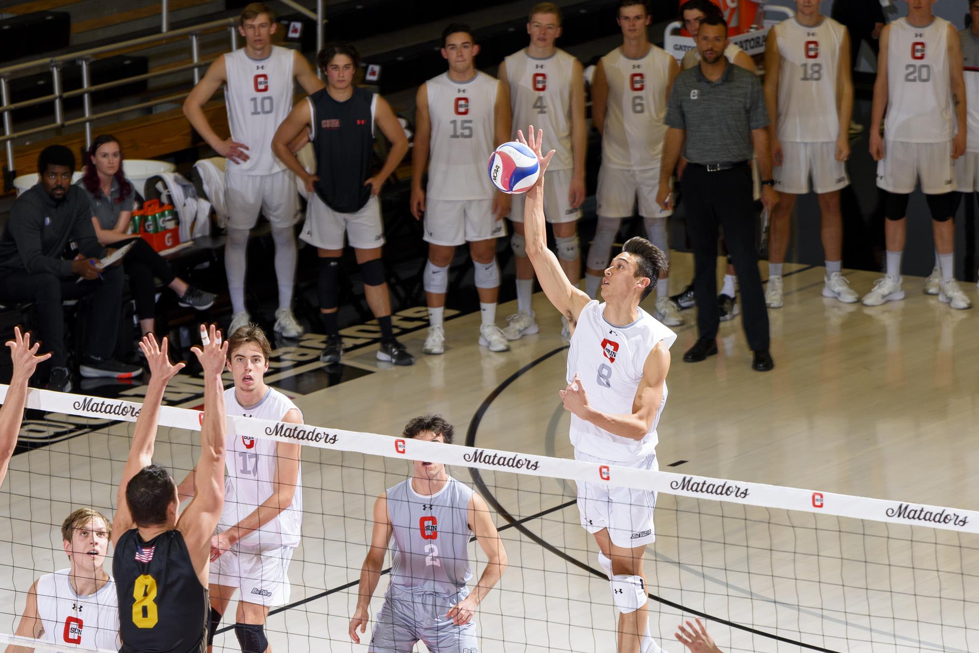 Steven Rotter - 2021 - Men's Volleyball - CSUN Athletics