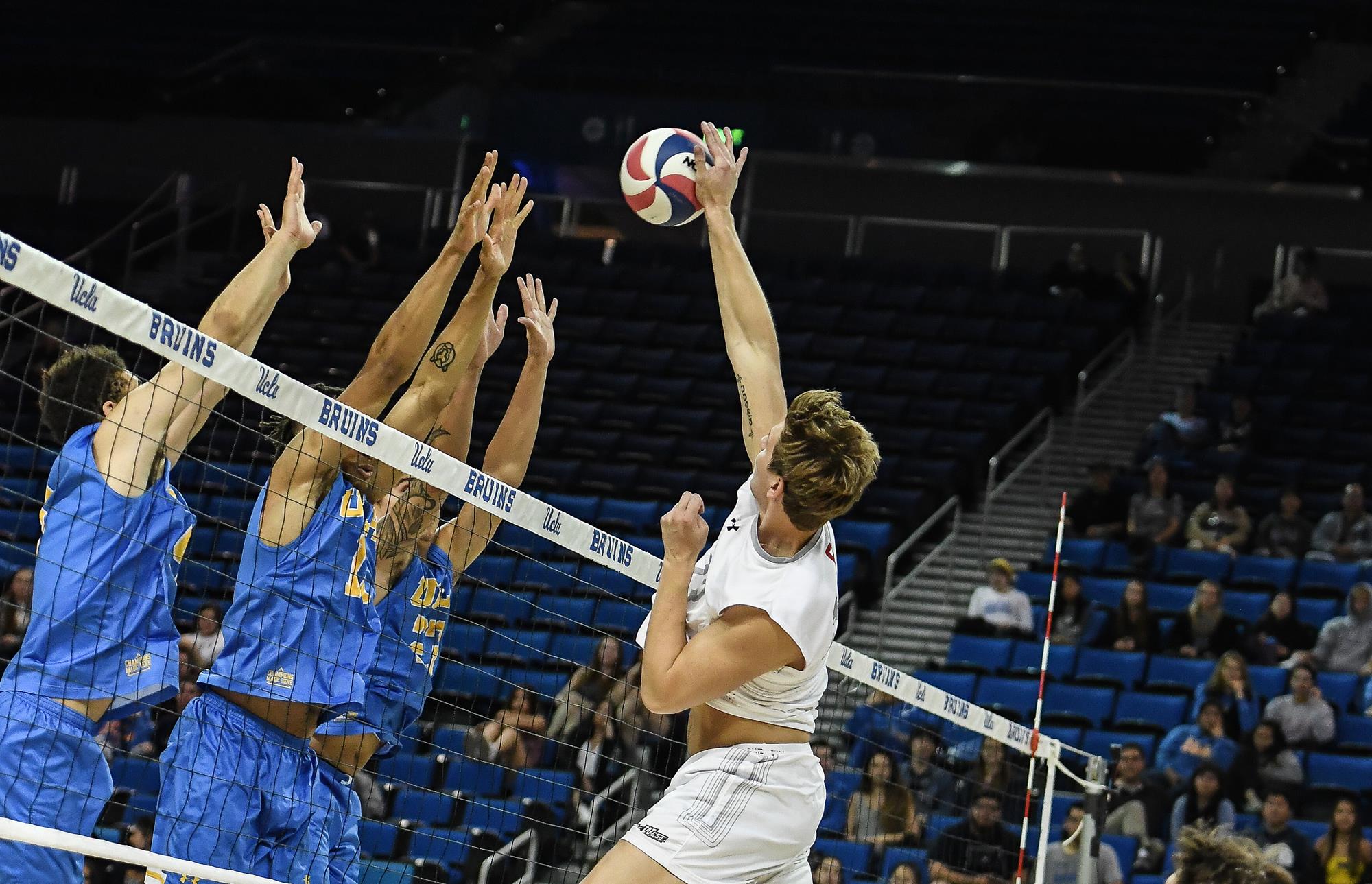 Paul Rzepniewski - 2020 - Men's Volleyball - CSUN Athletics