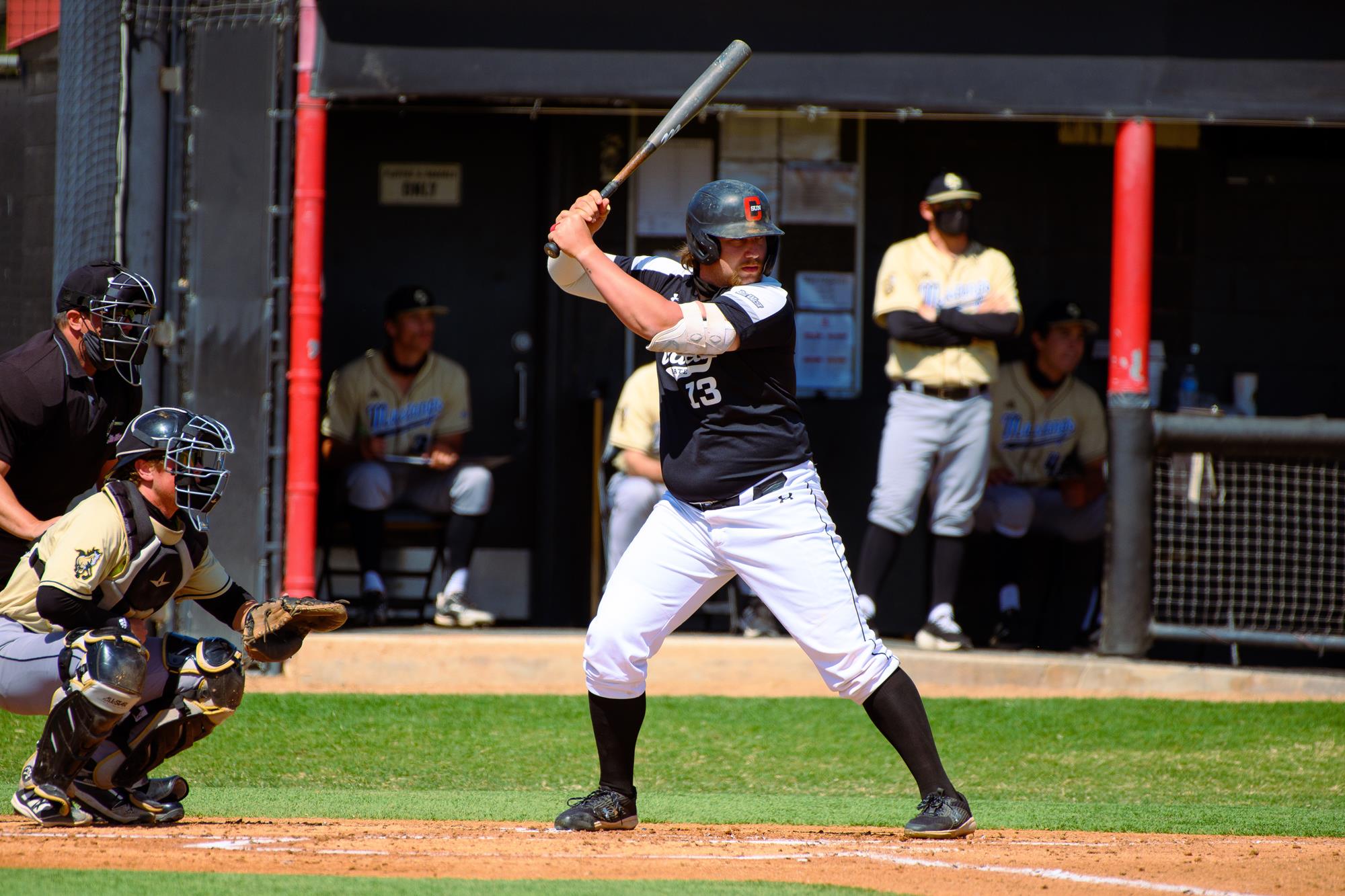 Jayson Newman - 2021 - Baseball - CSUN Athletics
