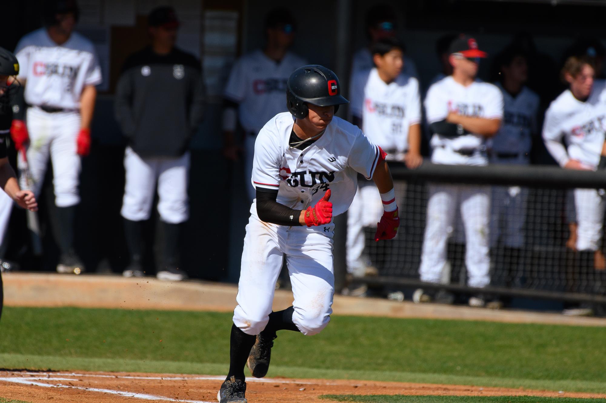 Ali Camarillo - 2023 - Baseball - CSUN Athletics