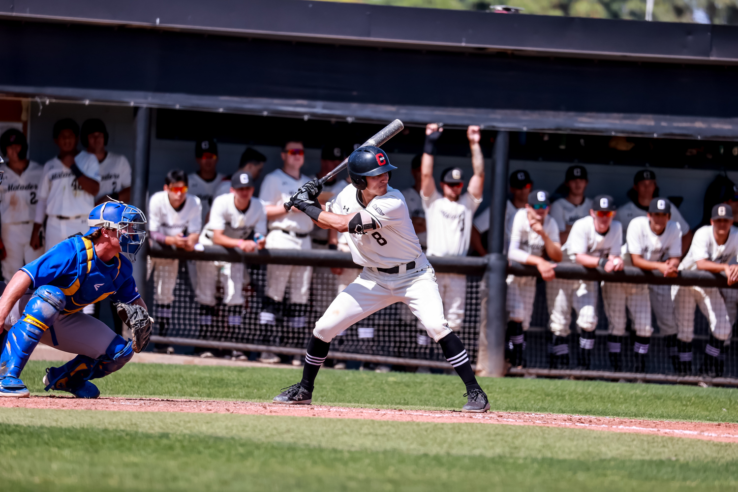 Brandon Bohning - 2022 - Baseball - CSUN Athletics