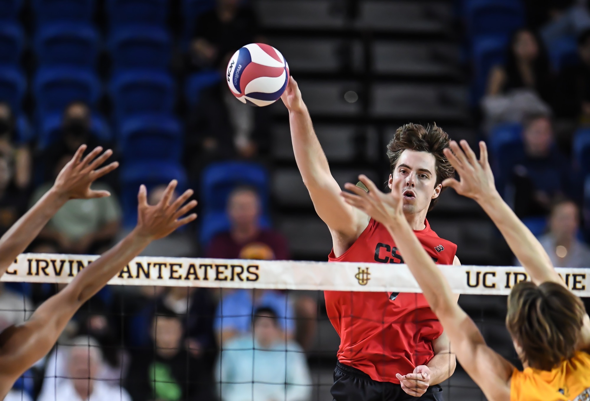 Kyle Hobus - 2024 - Men's Volleyball - CSUN Athletics