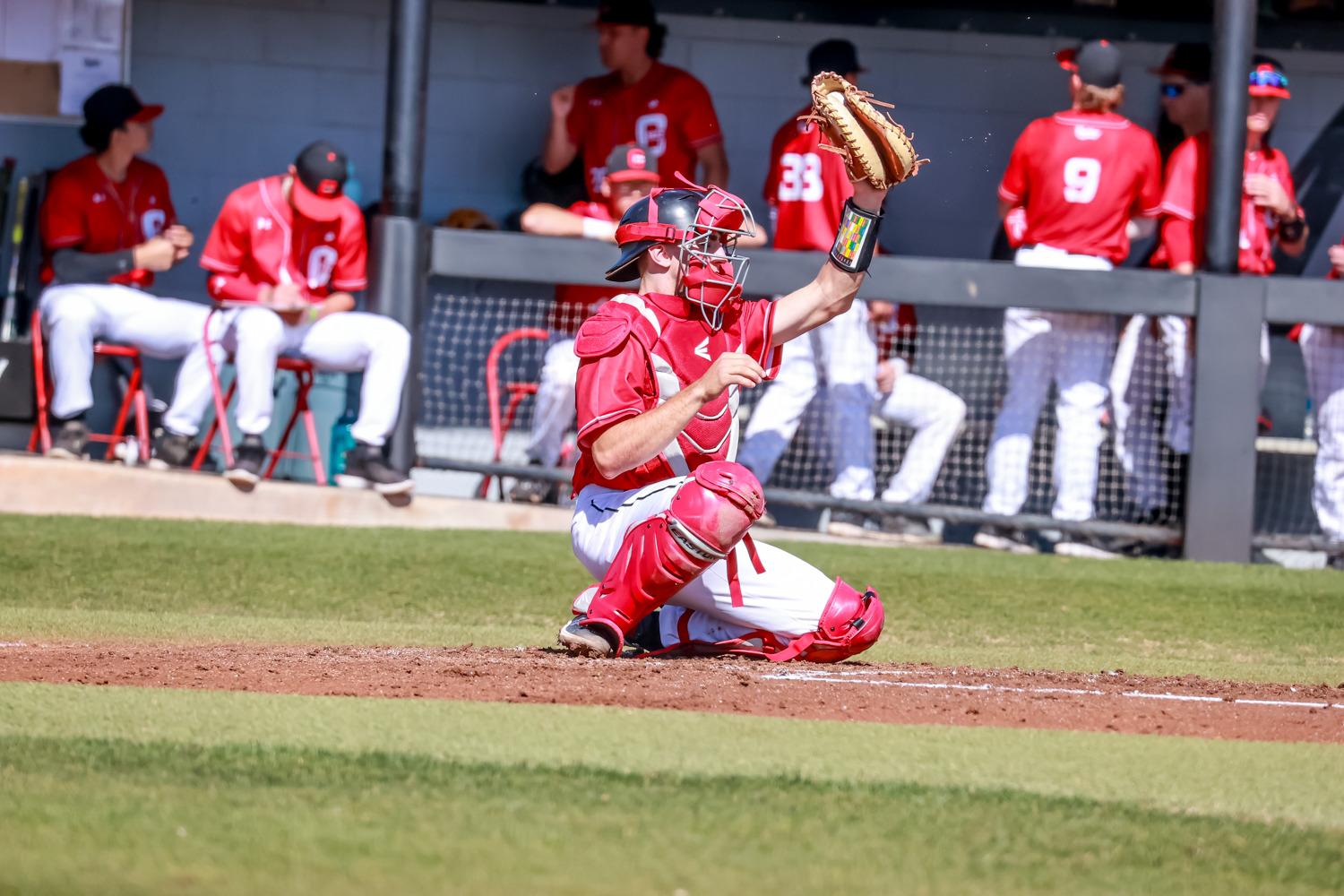 Camron Mercurio - 2023 - Baseball - CSUN Athletics