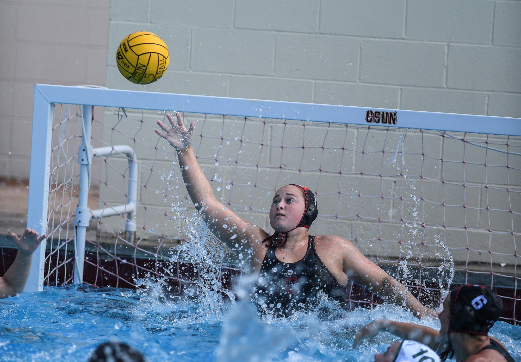 Meghan Lopez - 2024 - Women's Water Polo - CSUN Athletics