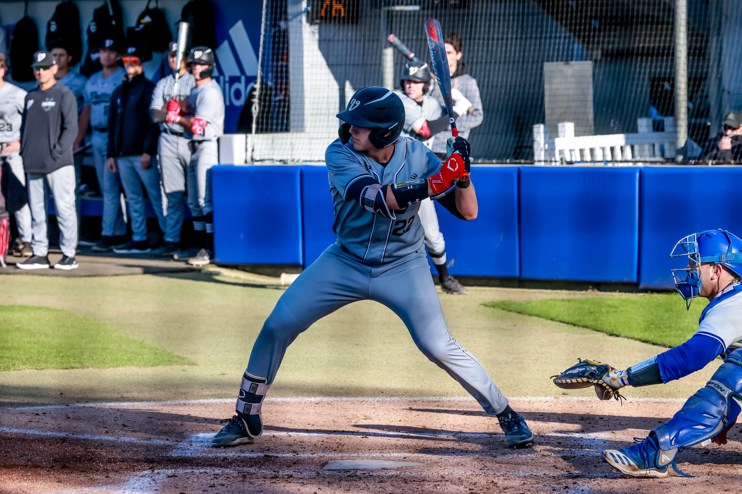 Luc Stuka - 2023 - Baseball - CSUN Athletics