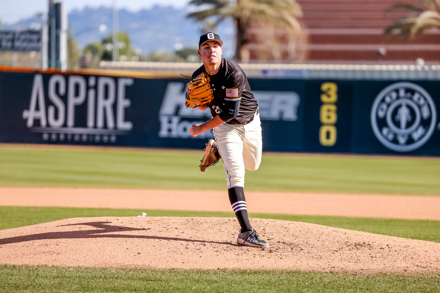 Ryan Dominguez - 2023 - Baseball - CSUN Athletics