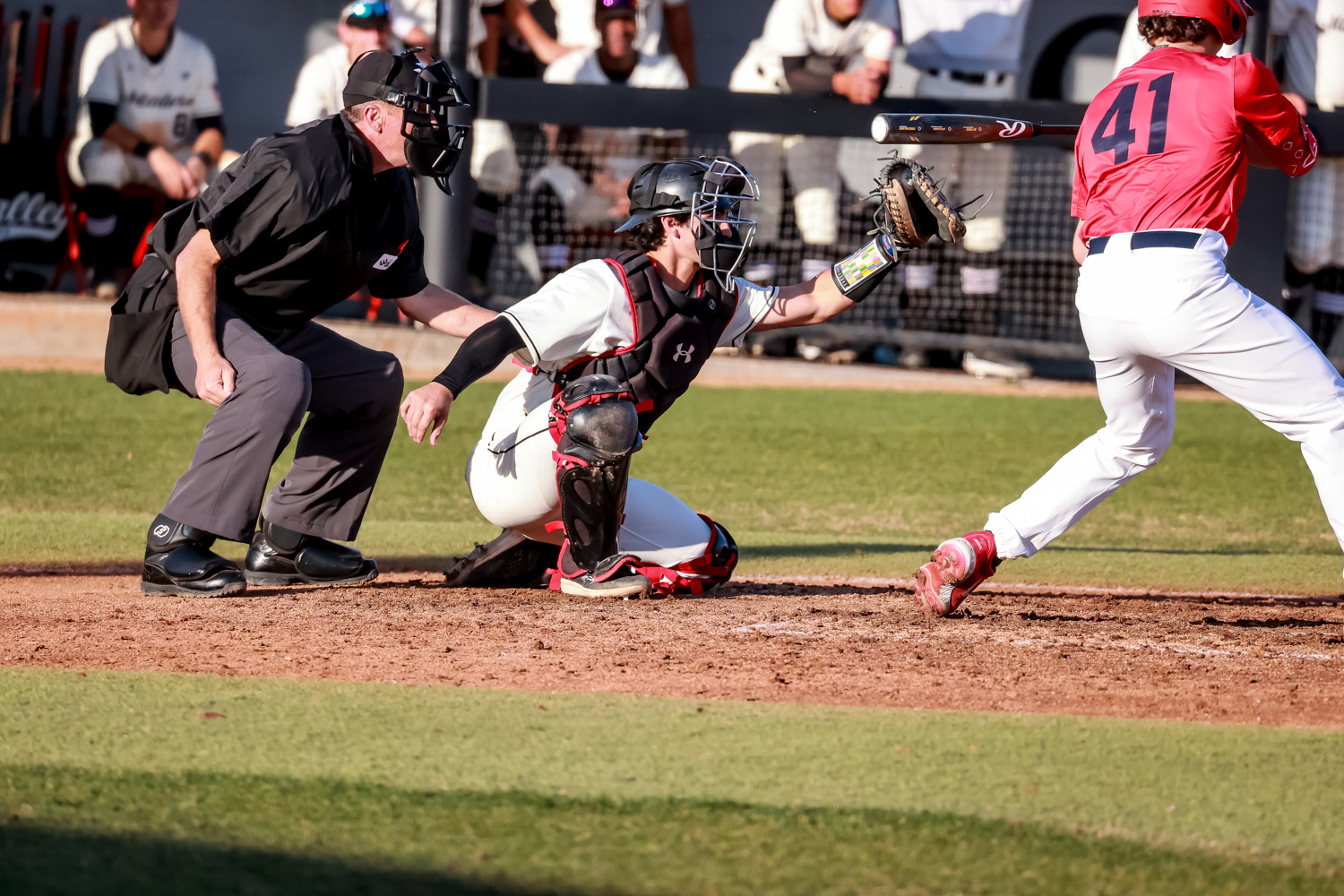 Matadors Defeat CBU 12-3 for Fifth-Straight Win - CSUN Athletics