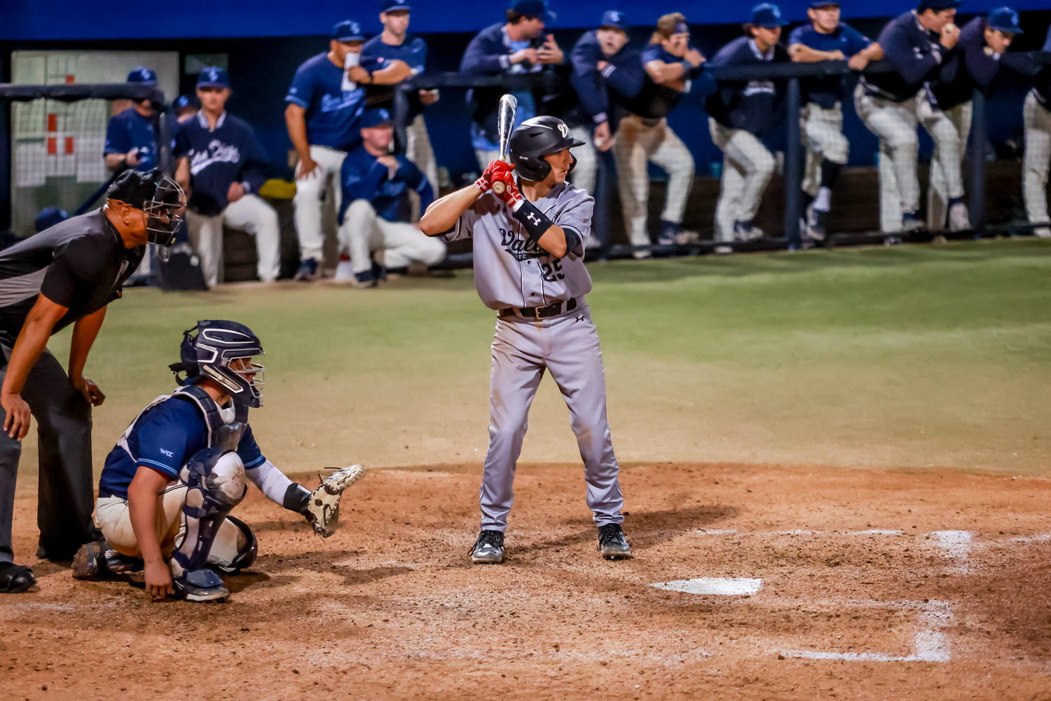 Camron Mercurio - 2023 - Baseball - CSUN Athletics