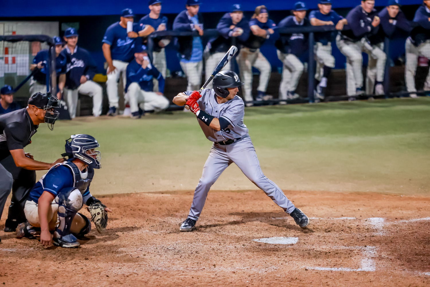 Camron Mercurio - 2023 - Baseball - CSUN Athletics