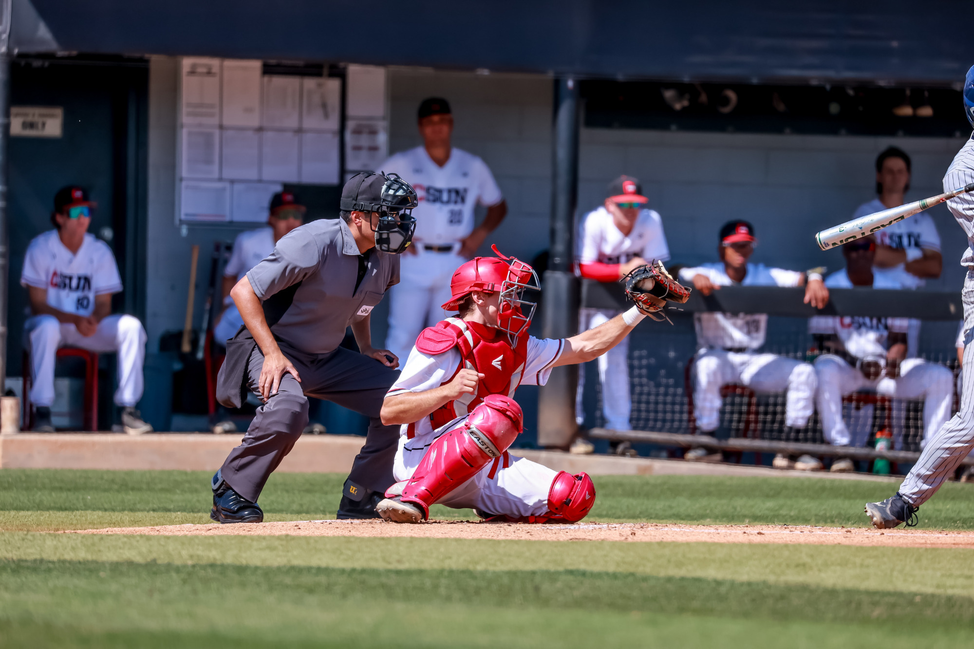 Camron Mercurio - 2023 - Baseball - CSUN Athletics