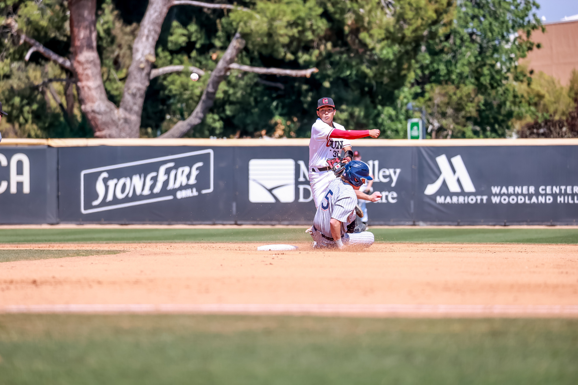 Shunsuke Sakaino - 2024 - Baseball - CSUN Athletics