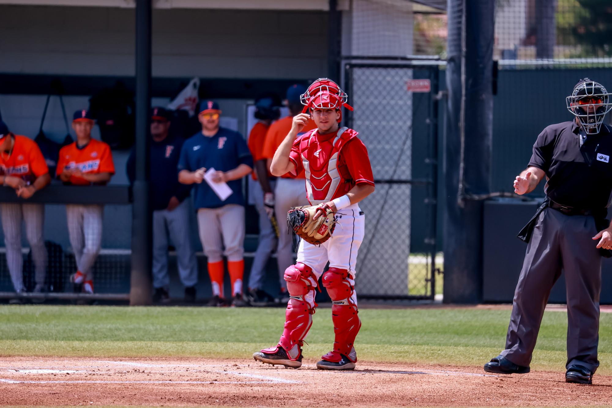 Camron Mercurio - 2023 - Baseball - CSUN Athletics