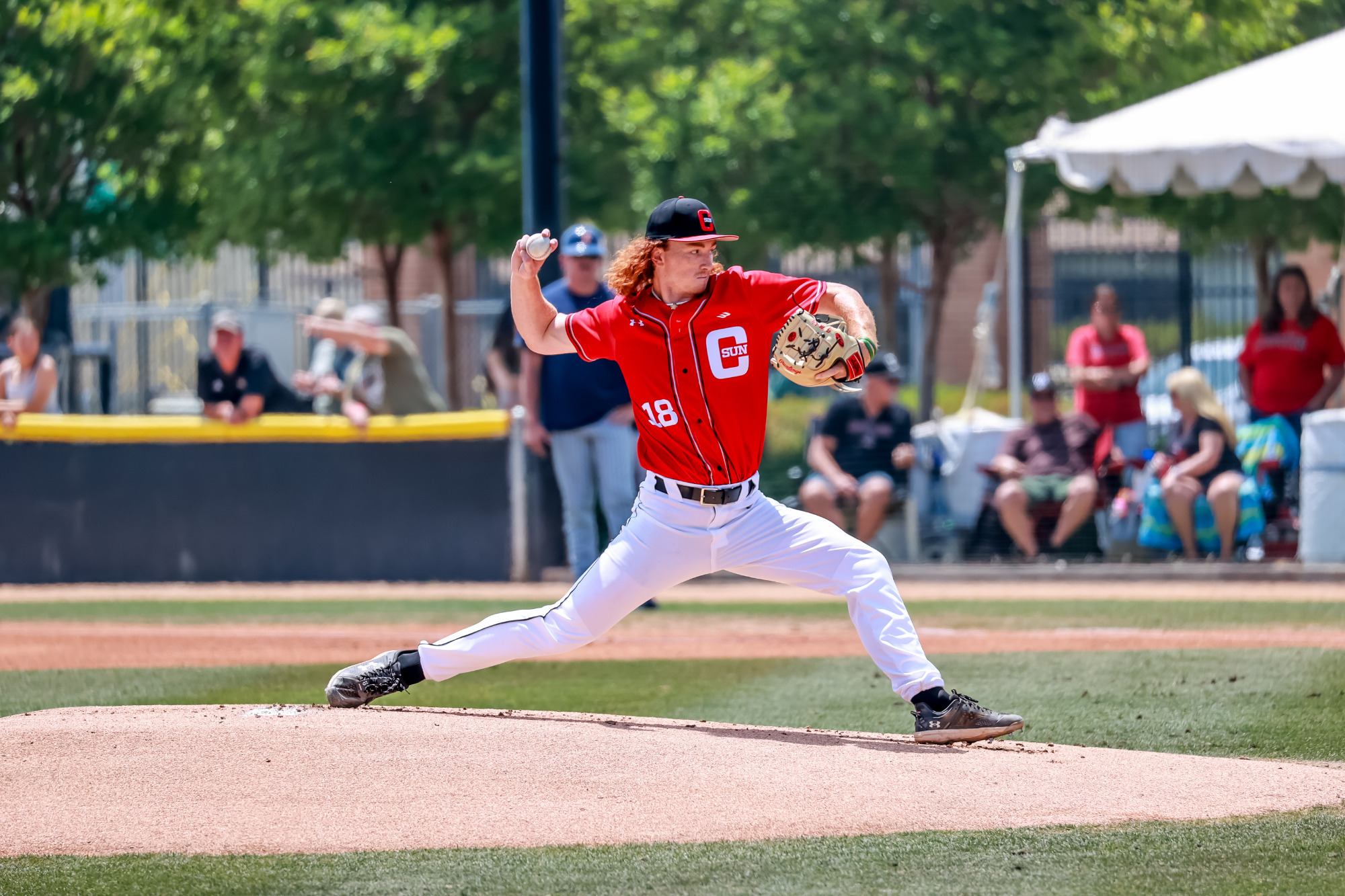 Thomas Bainton - 2024 - Baseball - CSUN Athletics