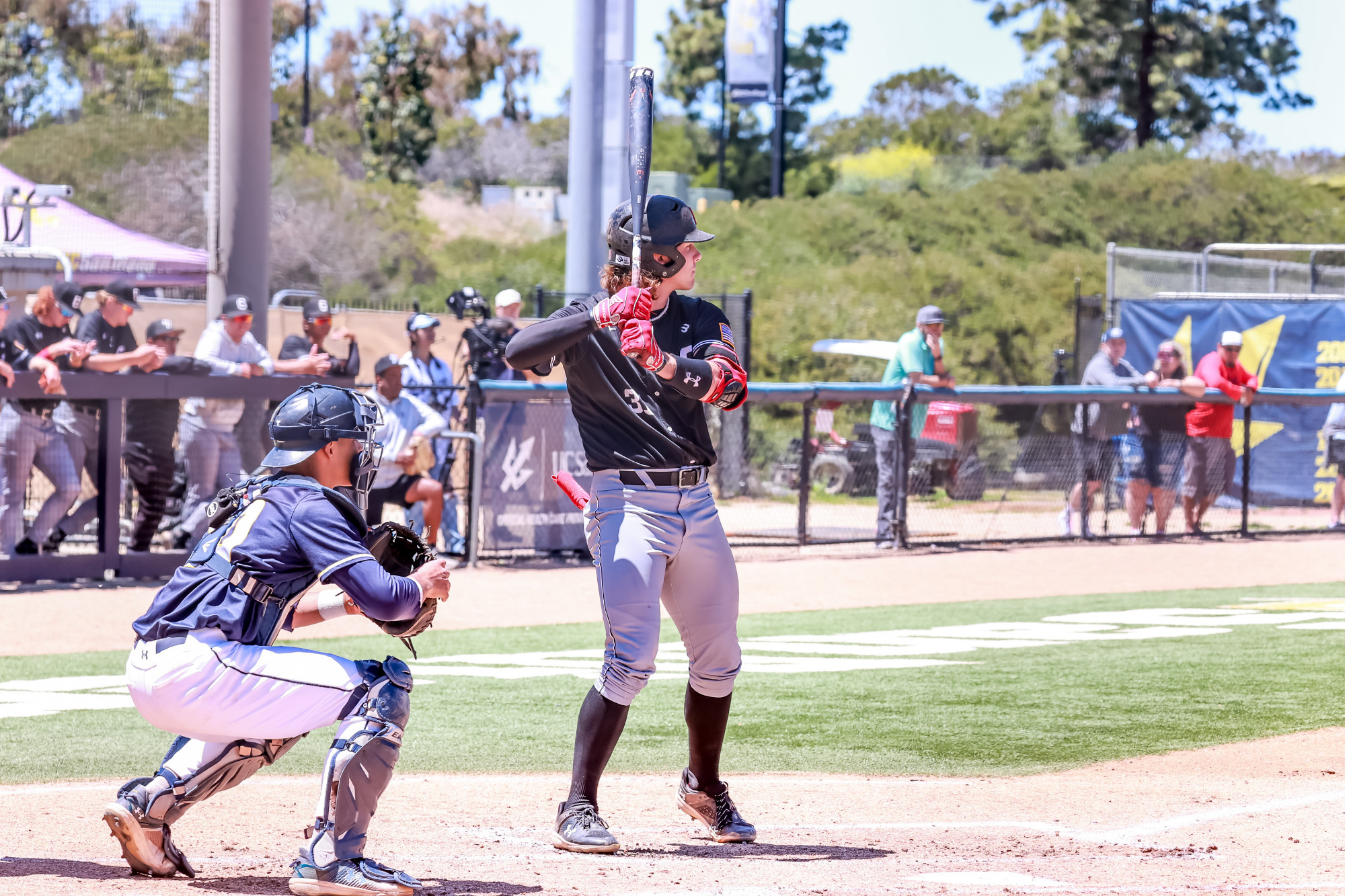 Ben Griffin - 2024 - Baseball - CSUN Athletics