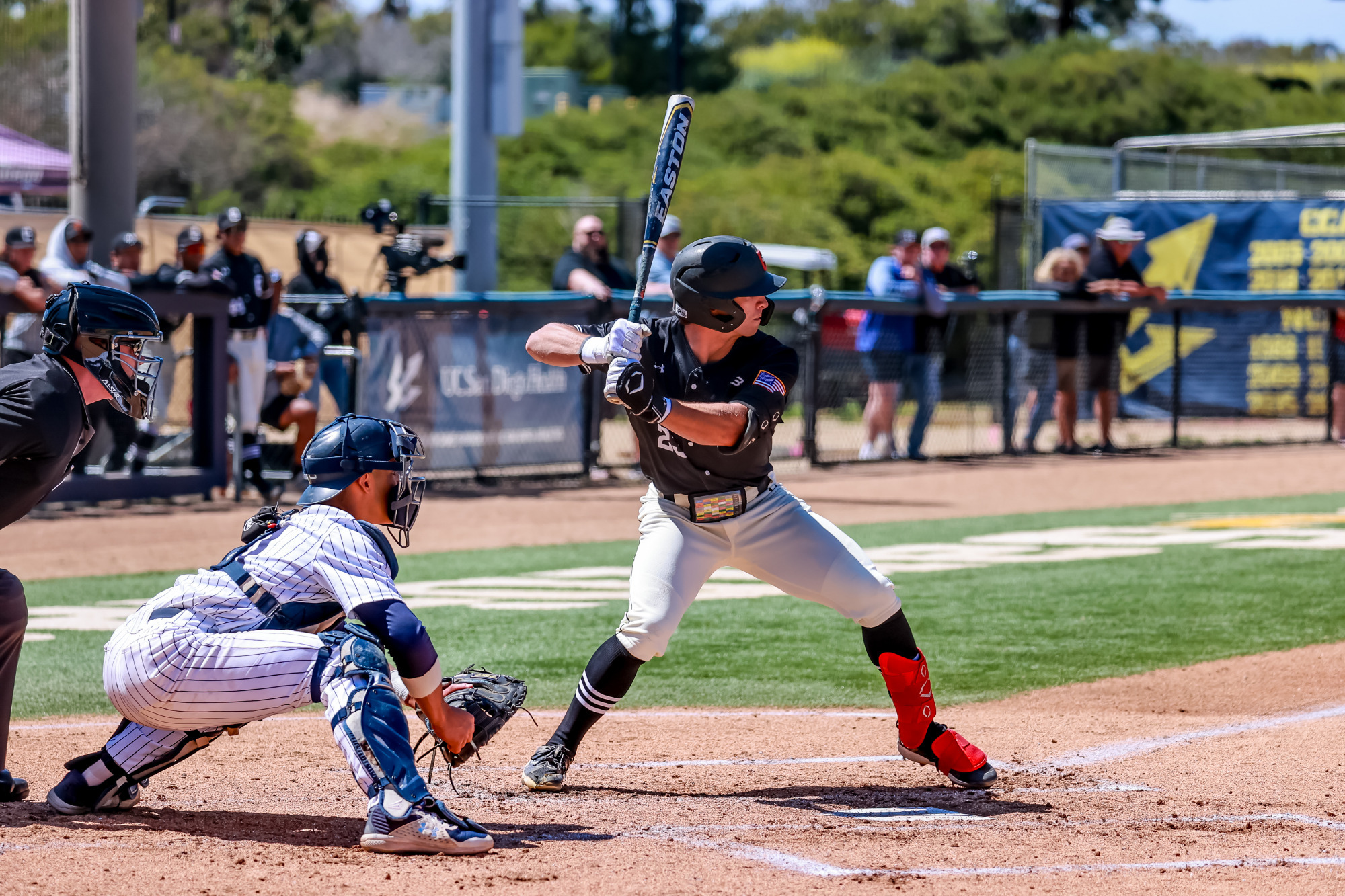 Jakob Simons - 2024 - Baseball - CSUN Athletics