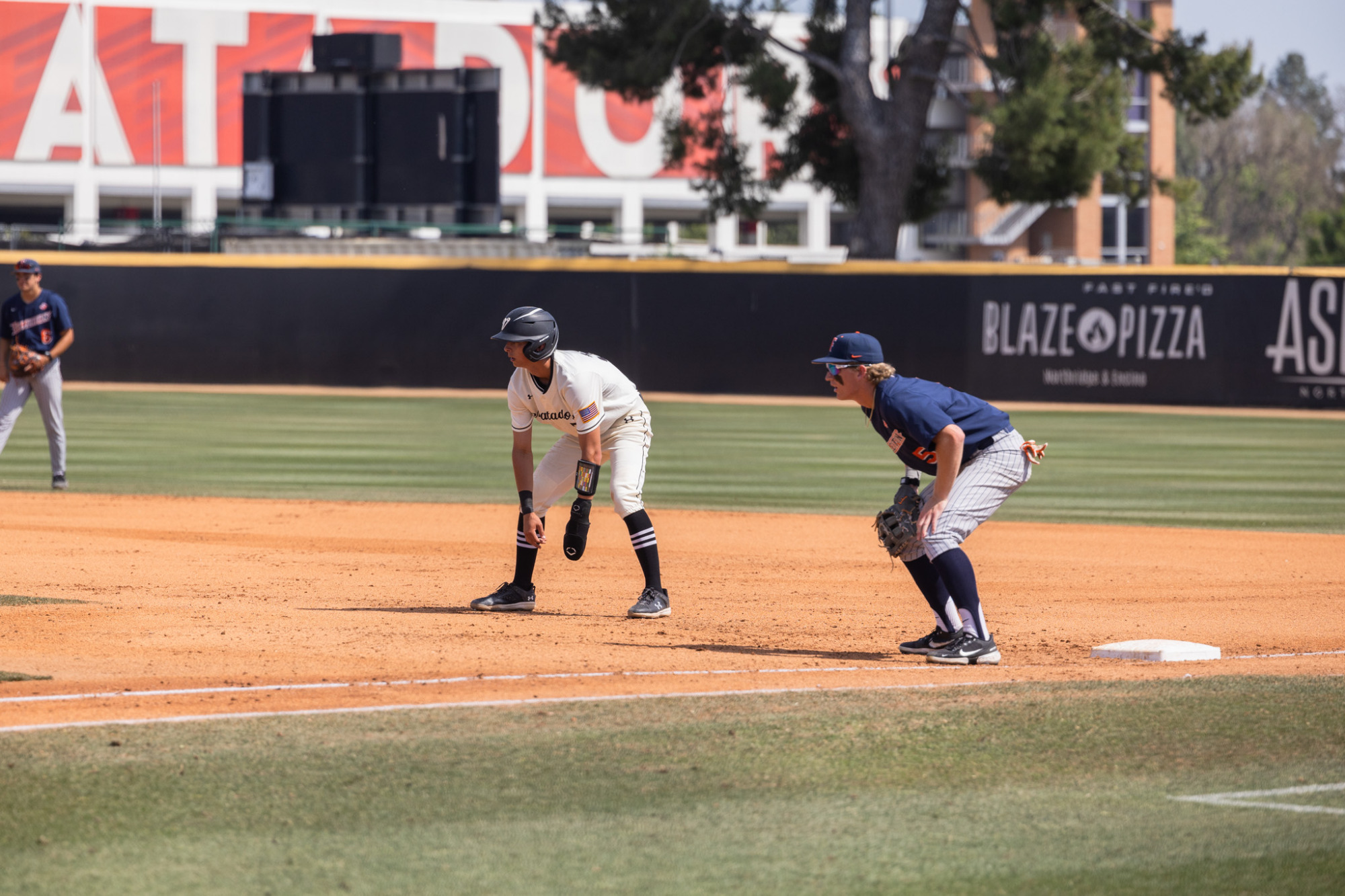 Ali Camarillo - 2023 - Baseball - CSUN Athletics