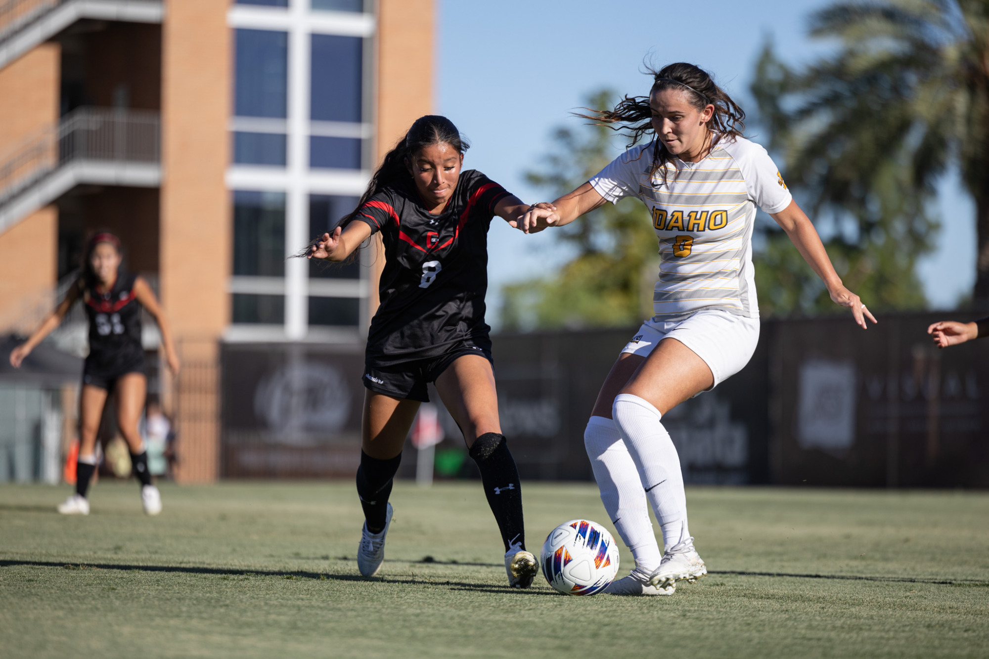 Kaylee Gutierrez - 2023 - Women's Soccer - CSUN Athletics