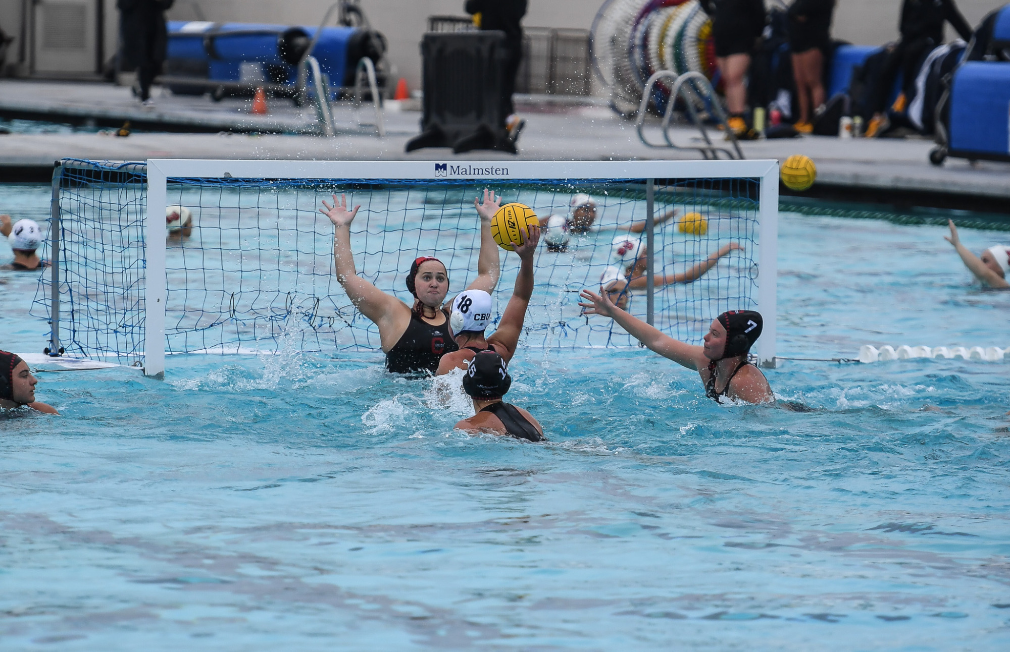 Meghan Lopez - 2024 - Women's Water Polo - CSUN Athletics