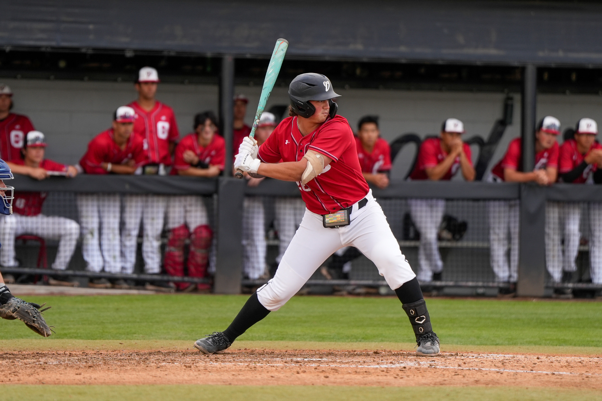 Conner Stewart - 2024 - Baseball - CSUN Athletics