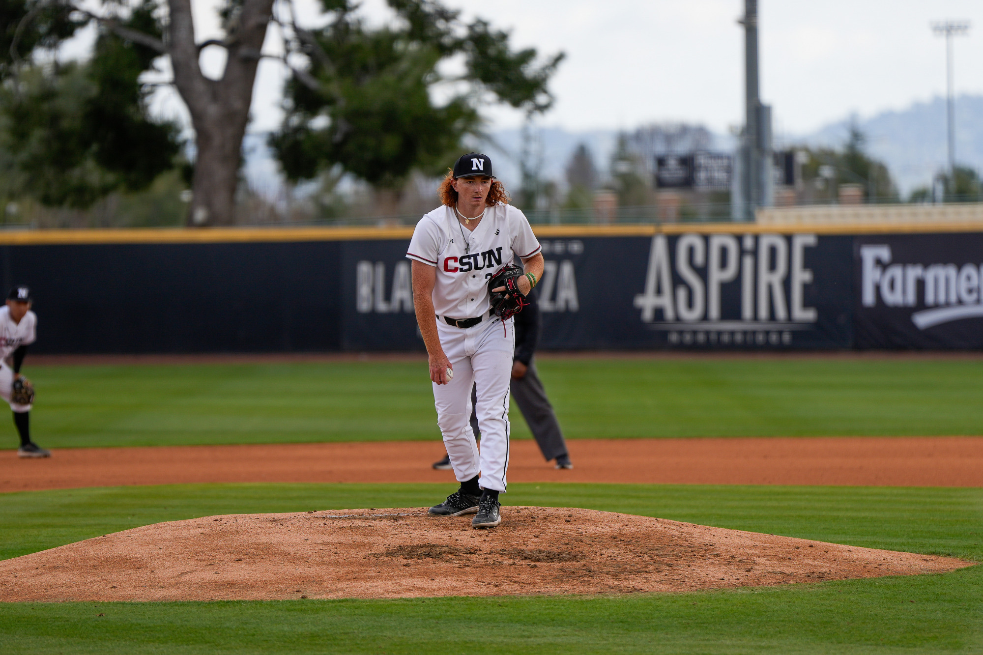 Thomas Bainton - 2024 - Baseball - CSUN Athletics