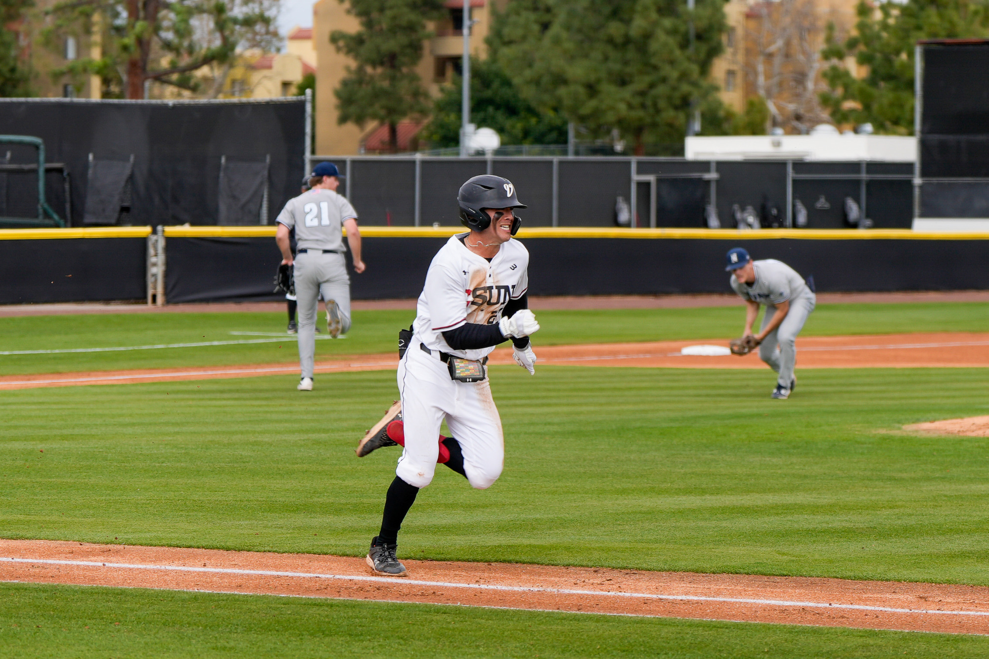 Mason Le - 2024 - Baseball - CSUN Athletics